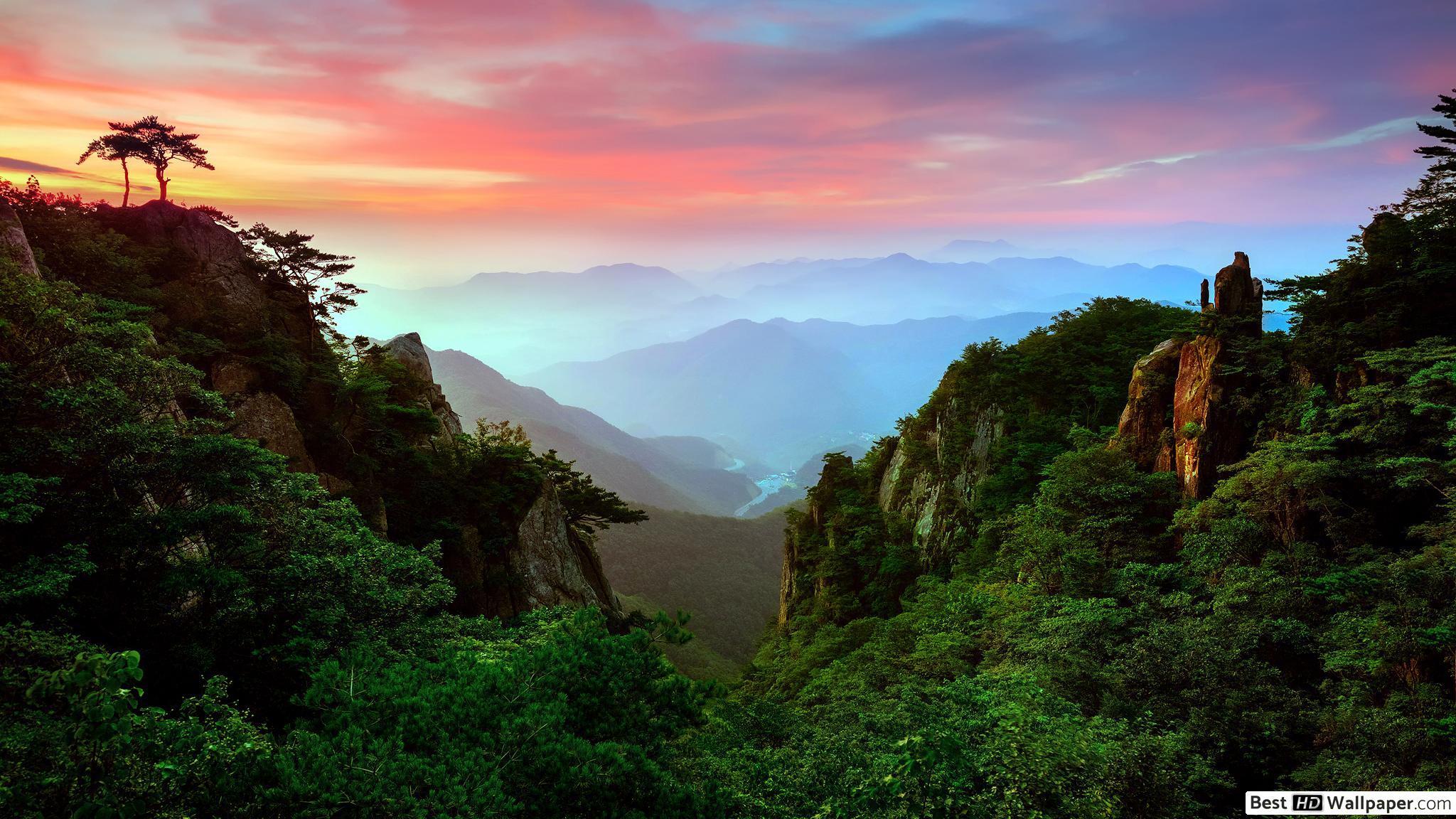 Jungle Mountain Wallpapers - Top Free Jungle Mountain Backgrounds ...