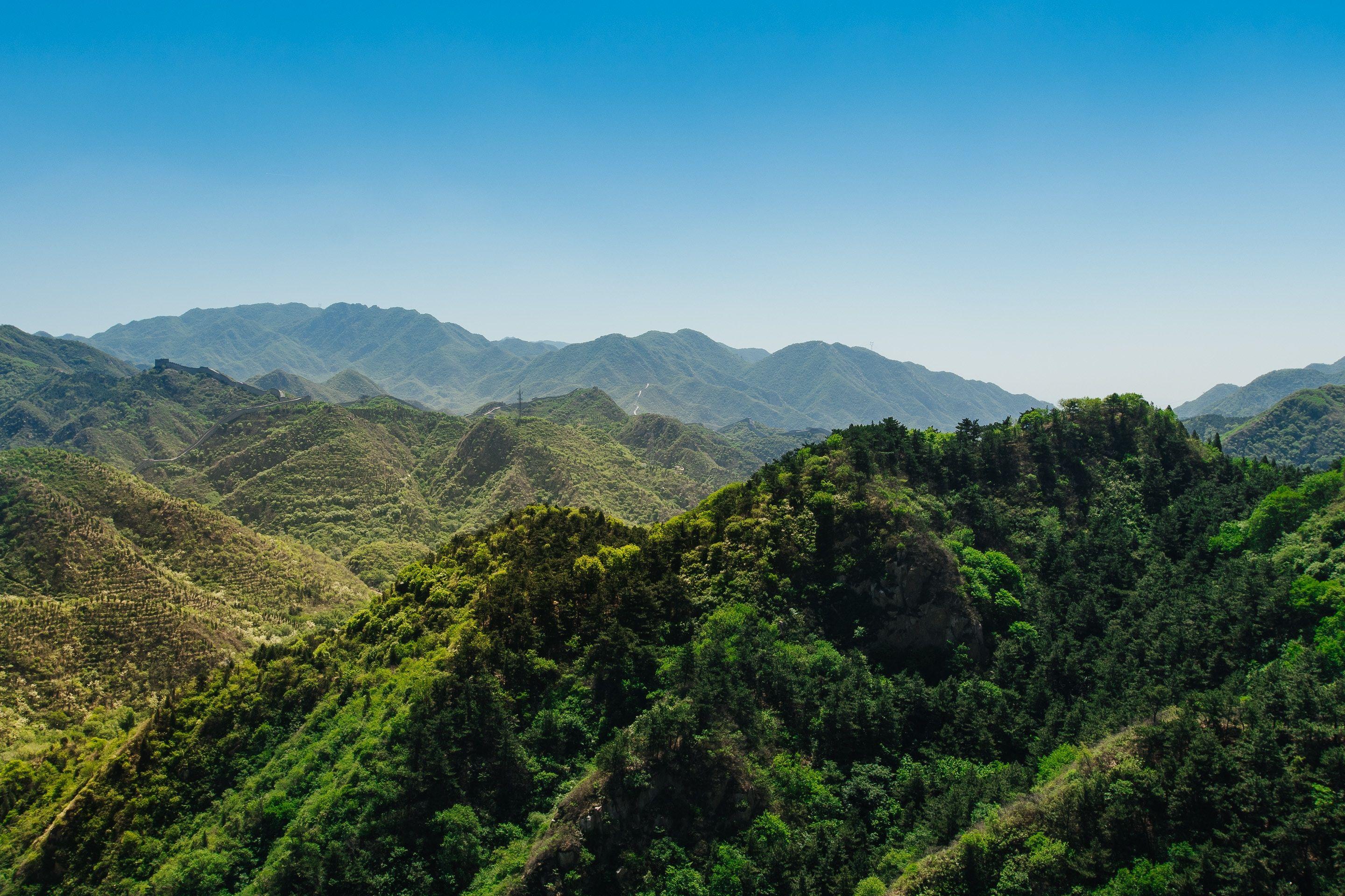 Jungle Mountain Wallpapers - Top Free Jungle Mountain Backgrounds ...