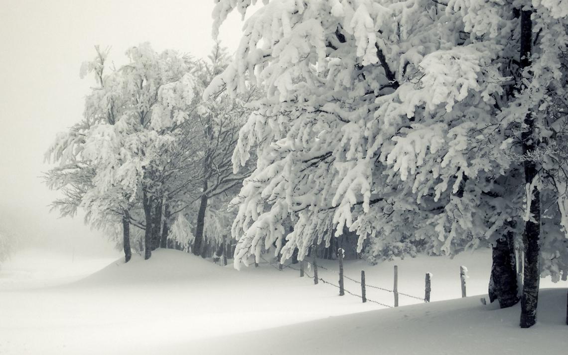 Winter Storm Desktop Wallpapers - Top Free Winter Storm Desktop ...