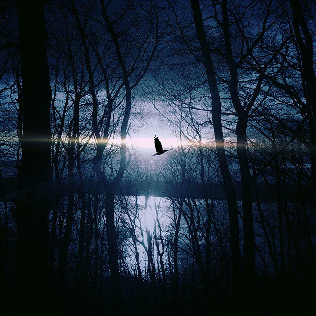 Dark and Mysterious Wallpapers - Top Free Dark and Mysterious ...