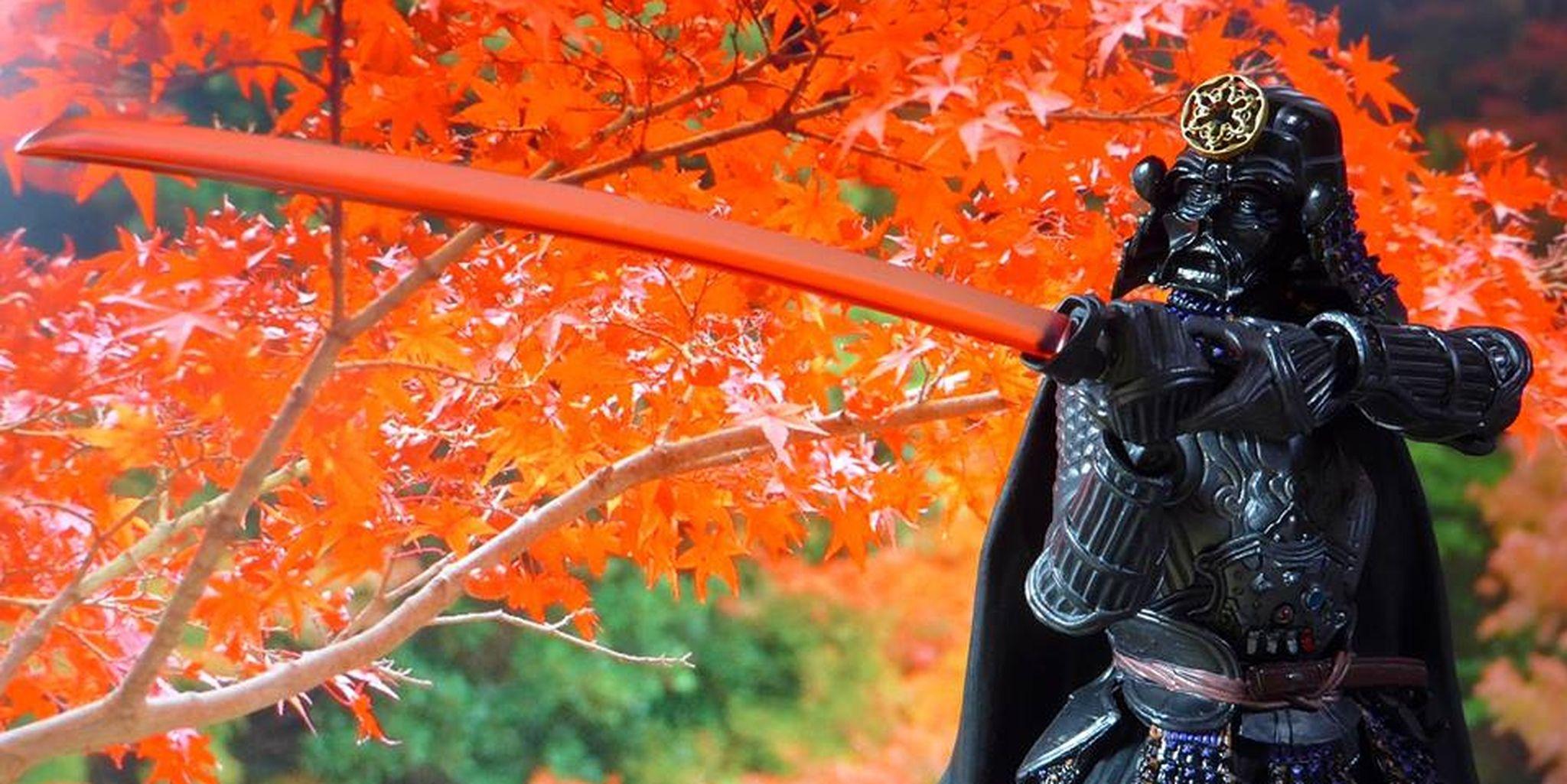 Samurai Autumn Wallpapers - Top Free Samurai Autumn Backgrounds ...