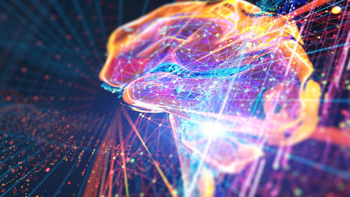 Neurological Wallpapers - Top Free Neurological Backgrounds ...