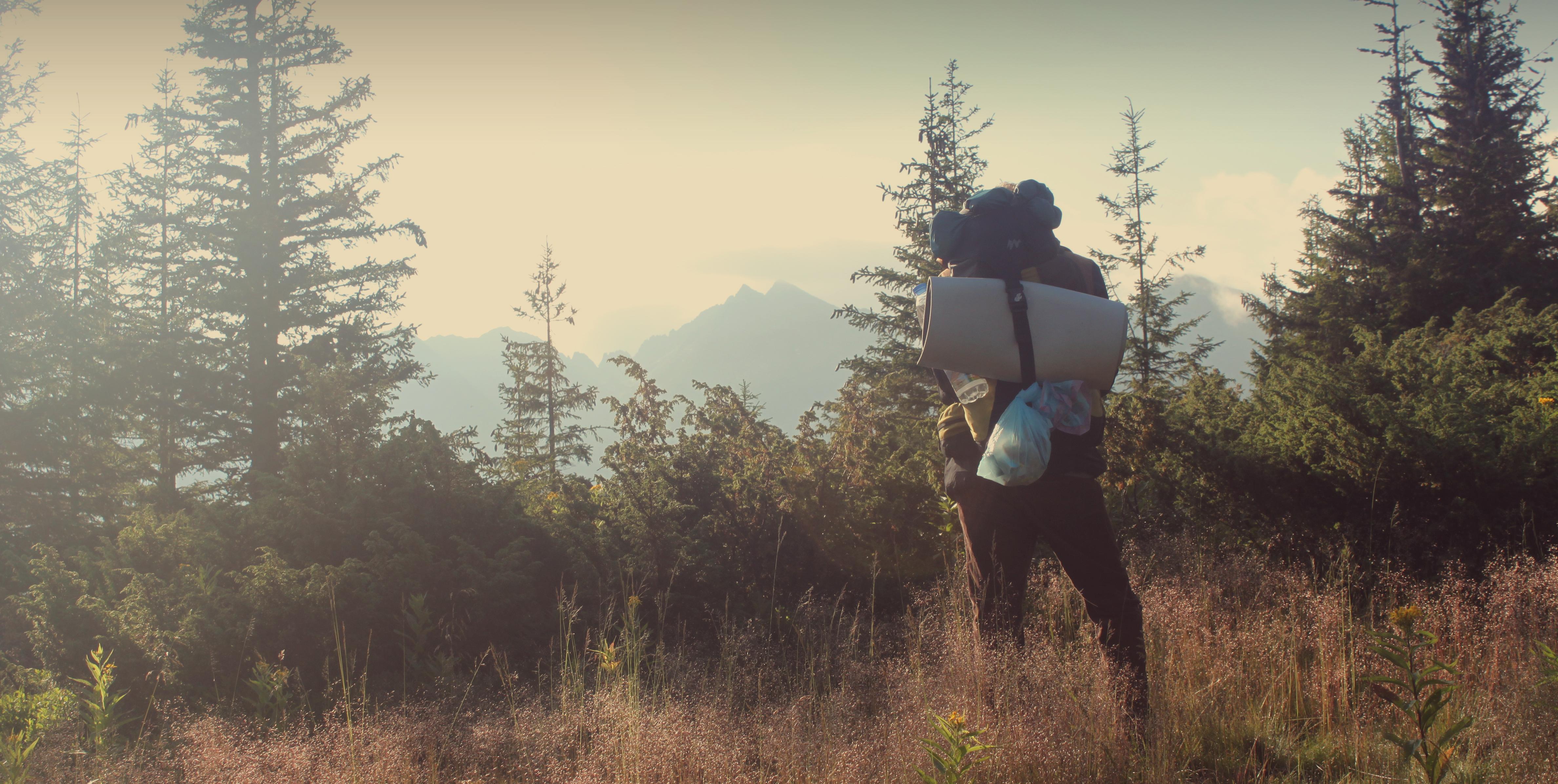 Forest Hiking Wallpapers - Top Free Forest Hiking Backgrounds ...