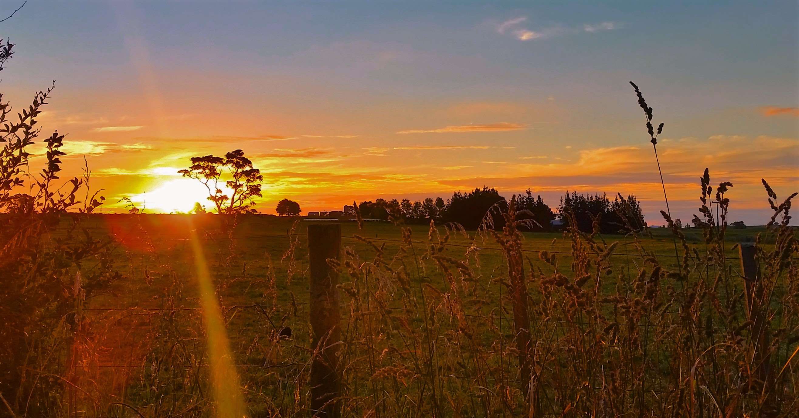 Country Field Wallpapers - Top Free Country Field Backgrounds ...