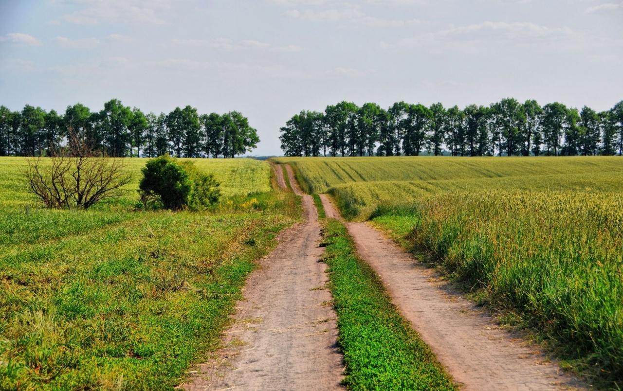 Country Field Wallpapers - Top Free Country Field Backgrounds ...