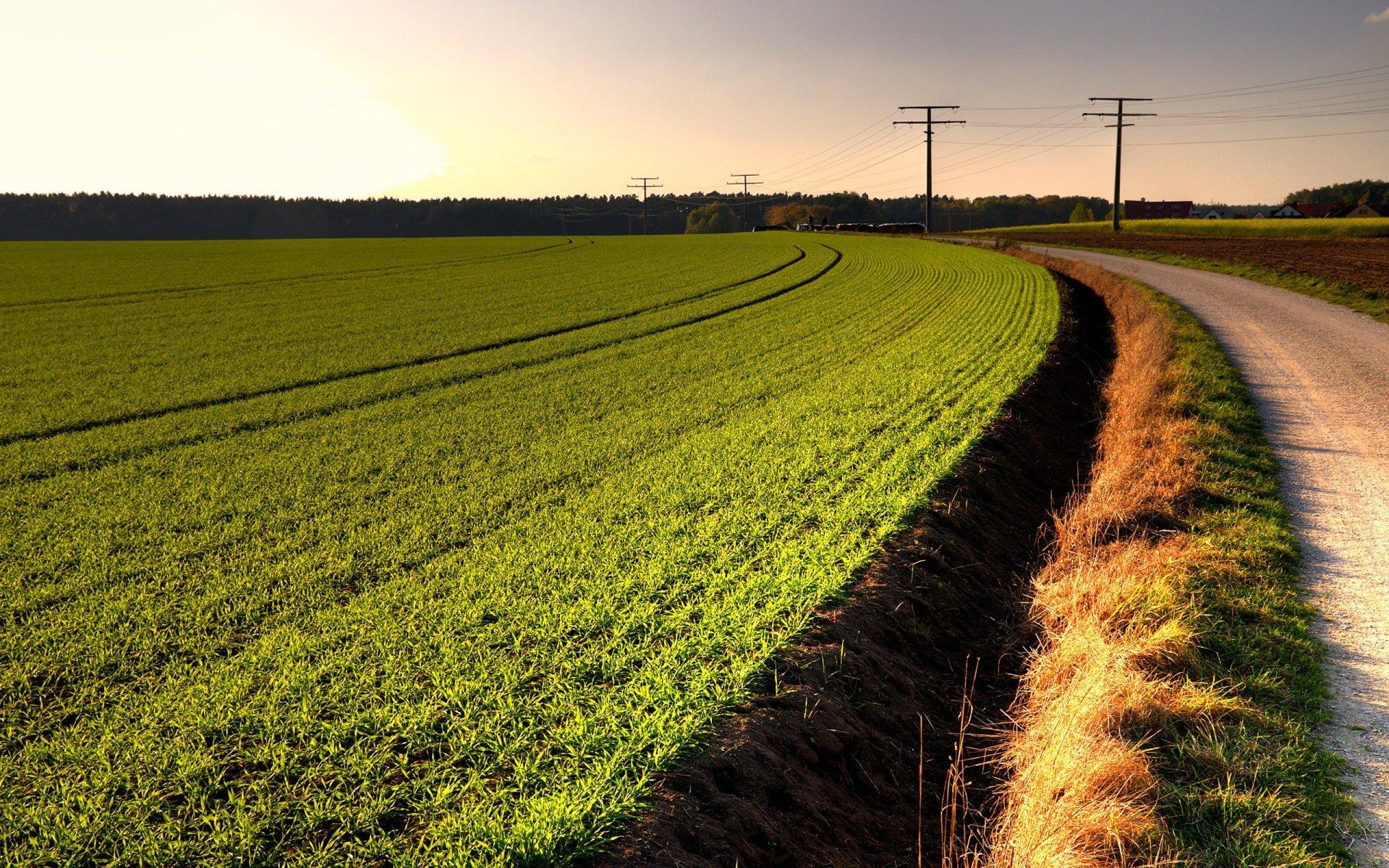 Country Field Wallpapers - Top Free Country Field Backgrounds ...