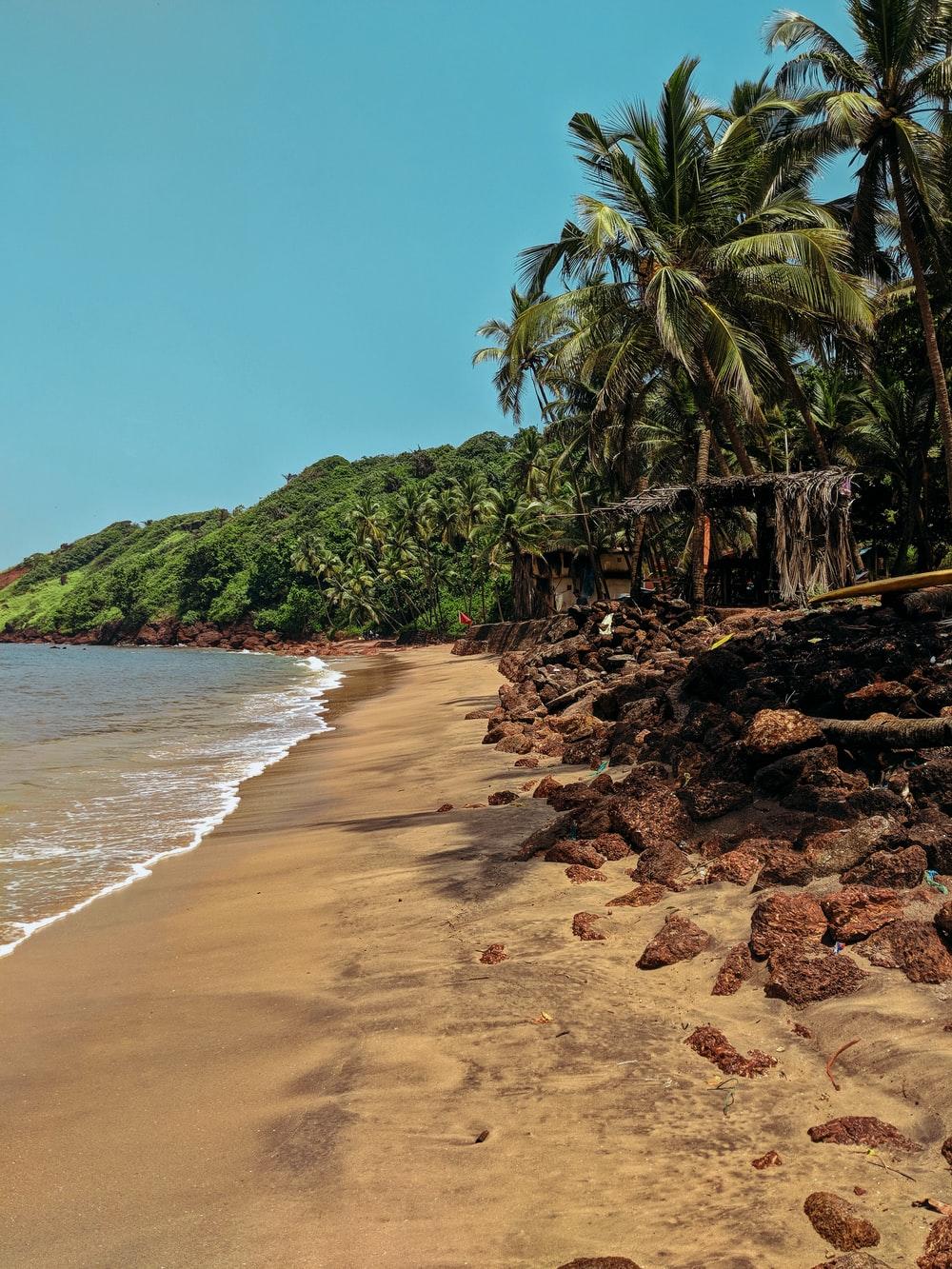 Goa India Wallpapers - Top Free Goa India Backgrounds - WallpaperAccess