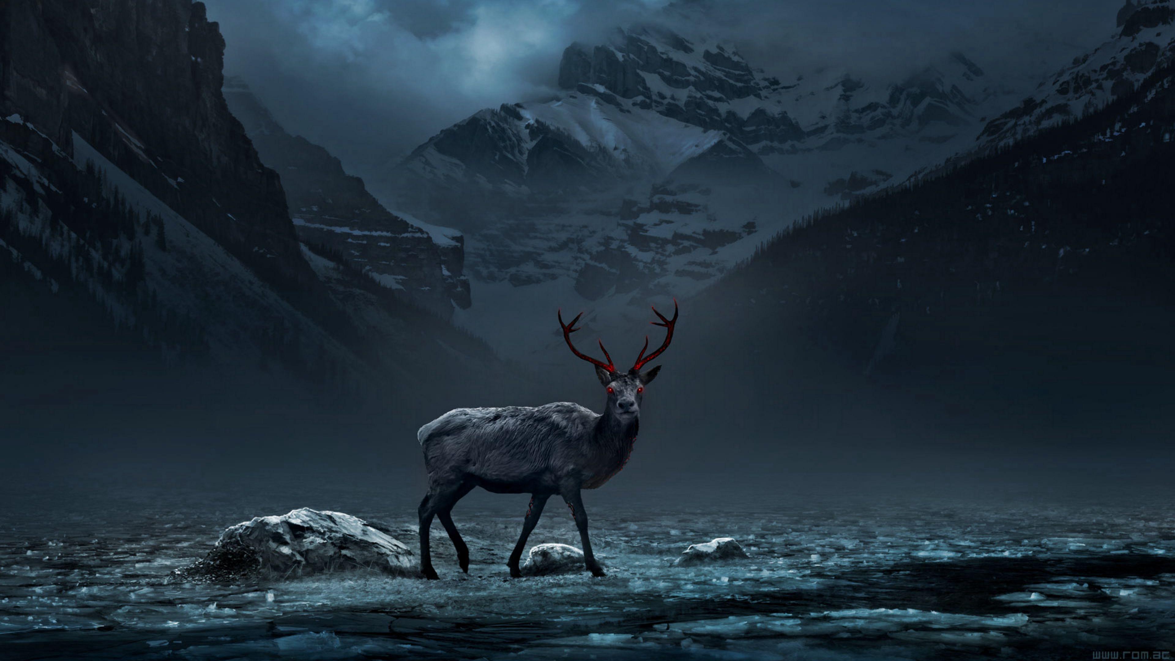 4K Galaxy Deer Wallpapers - Top Free 4K Galaxy Deer Backgrounds ...