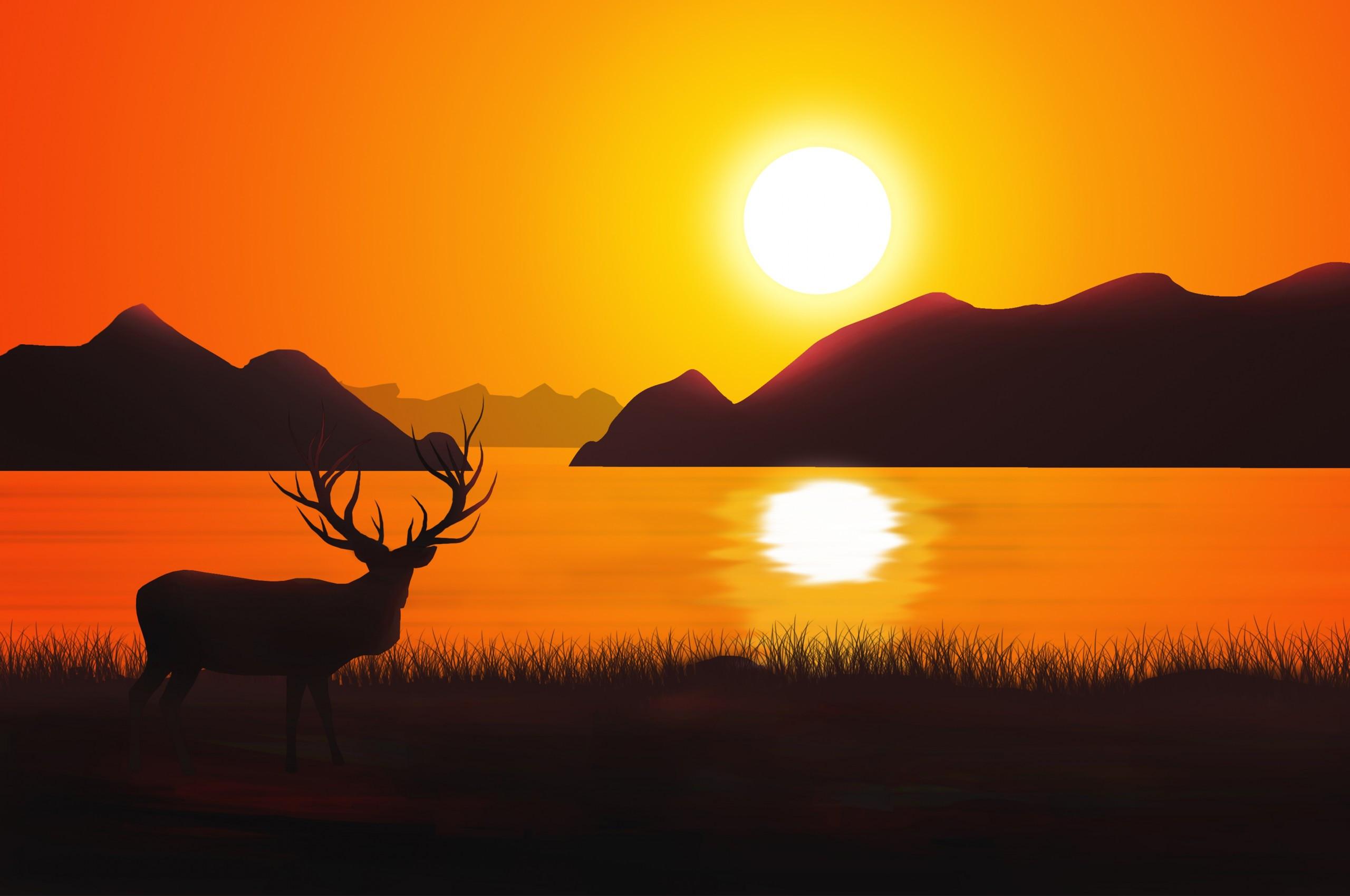 Deer Mountain Wallpapers - Top Free Deer Mountain Backgrounds ...