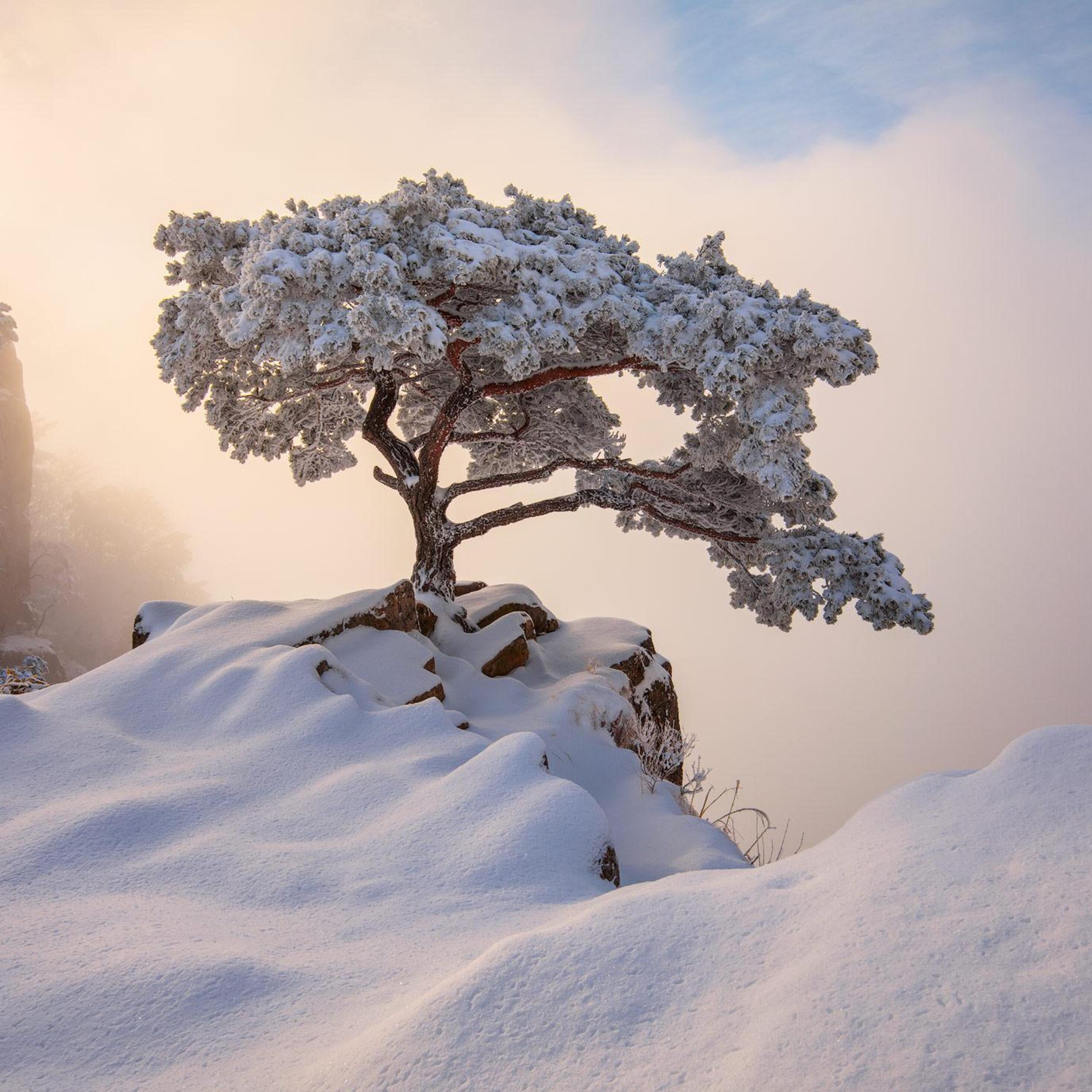 iPad Pro Winter Wallpapers - Top Free iPad Pro Winter Backgrounds ...