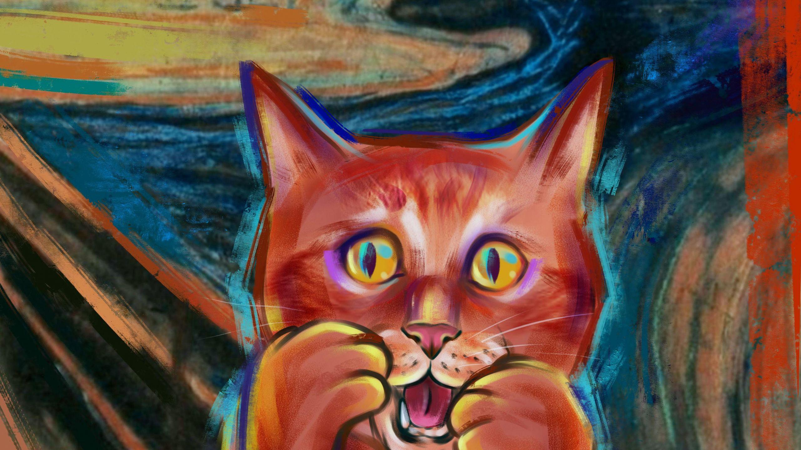 2560X1440 Cat Wallpapers - Top Free 2560X1440 Cat Backgrounds ...