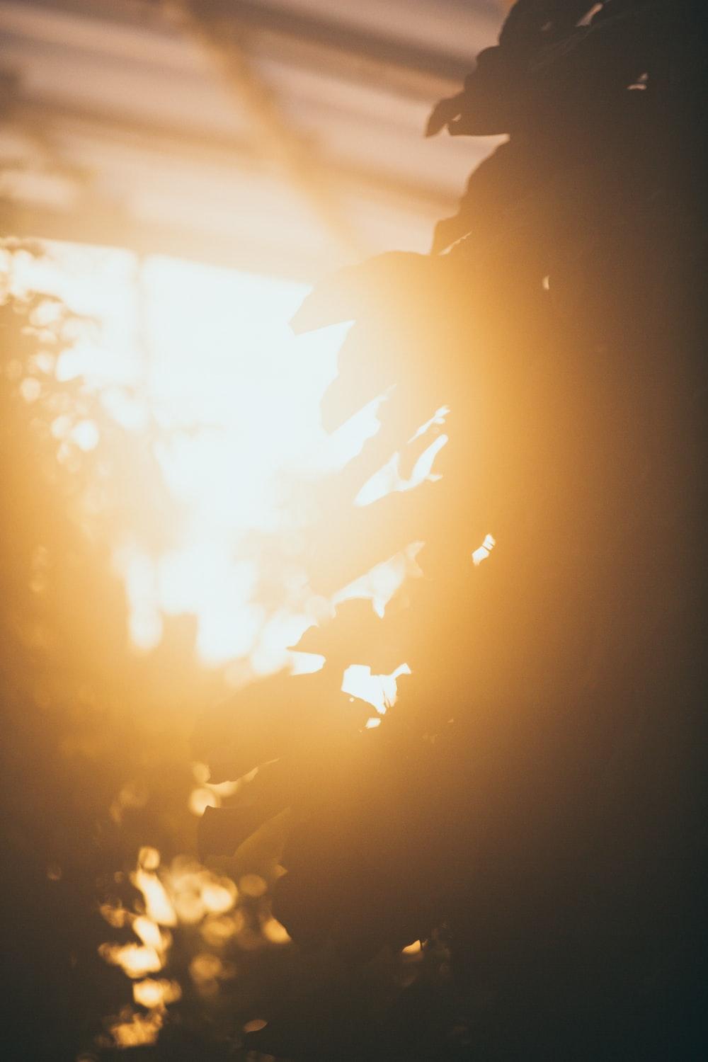 Warm Light Wallpapers - Top Free Warm Light Backgrounds - WallpaperAccess