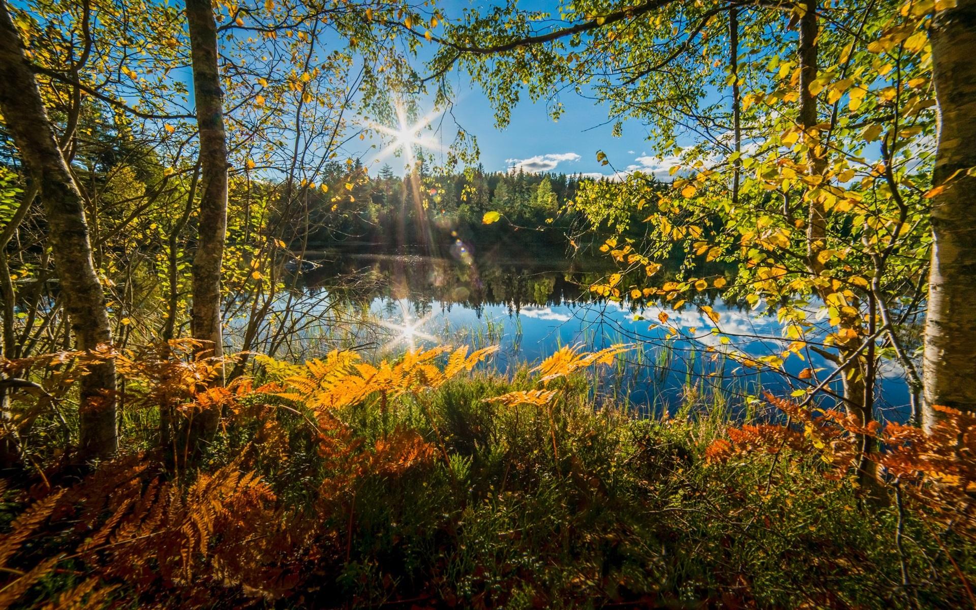 Norway Autumn Wallpapers - Top Free Norway Autumn Backgrounds ...