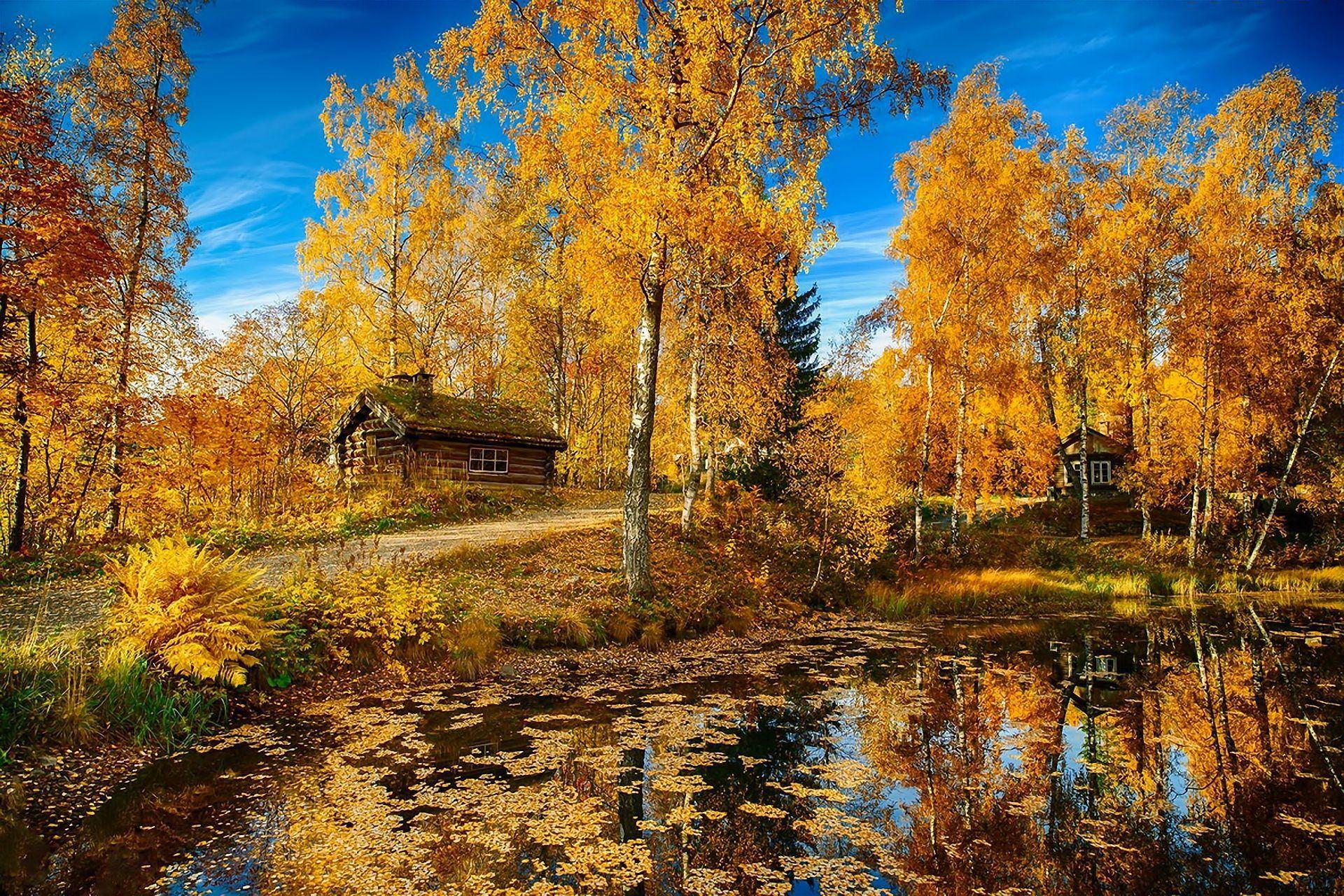 Norway Autumn Wallpapers - Top Free Norway Autumn Backgrounds ...