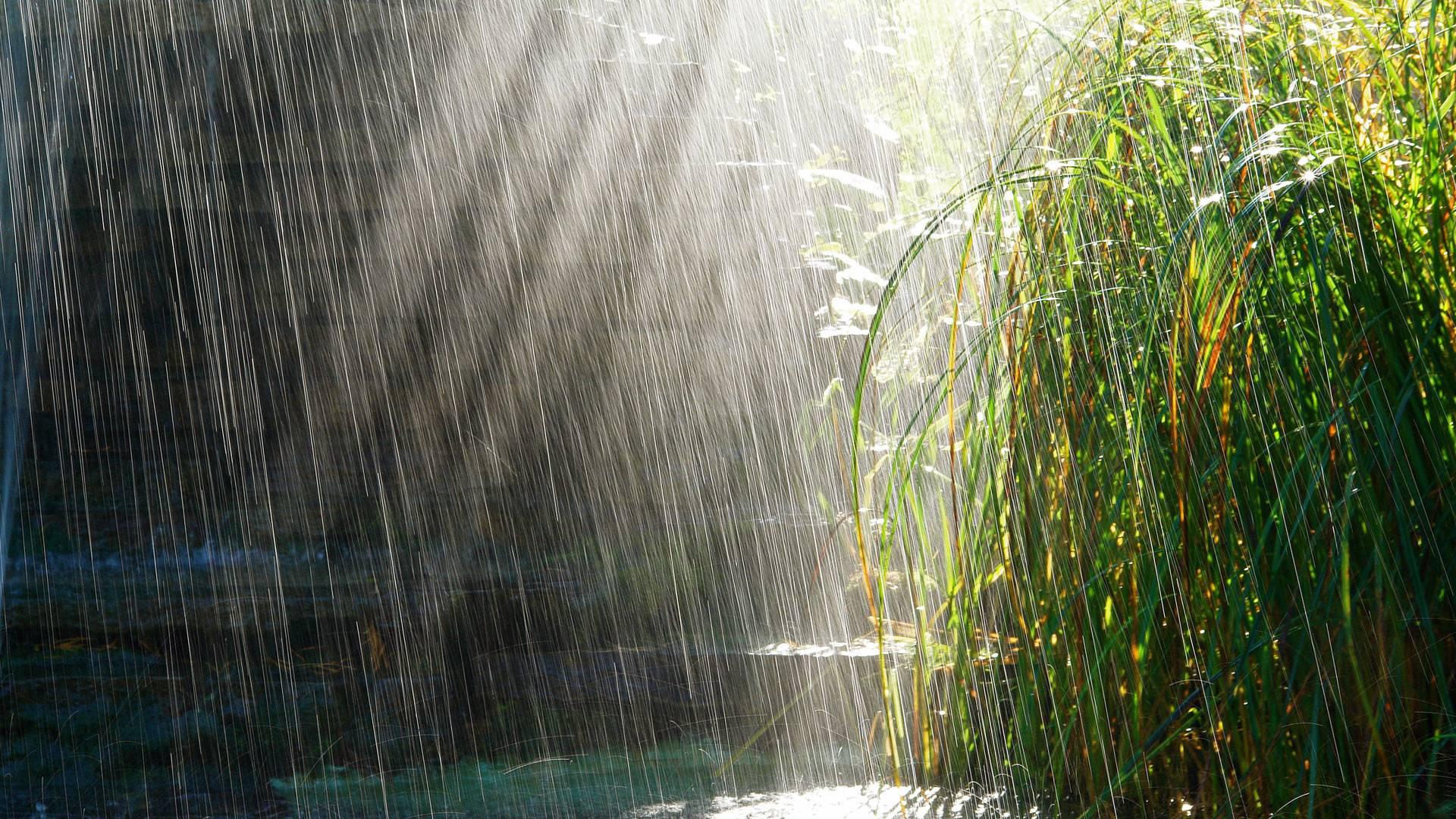 Sun and Rain Wallpapers - Top Free Sun and Rain Backgrounds ...