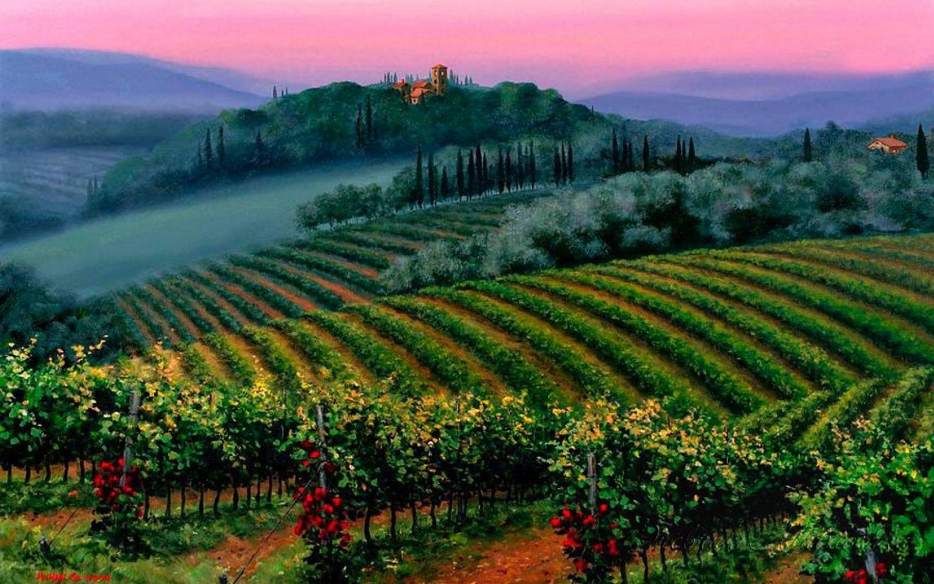 Vineyard Landscape Wallpapers - Top Free Vineyard Landscape Backgrounds ...