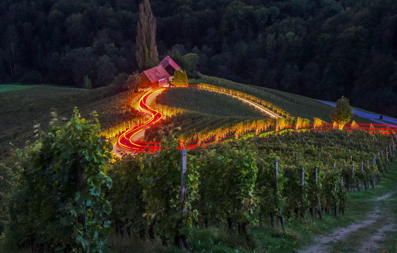 Vineyard Landscape Wallpapers - Top Free Vineyard Landscape Backgrounds ...