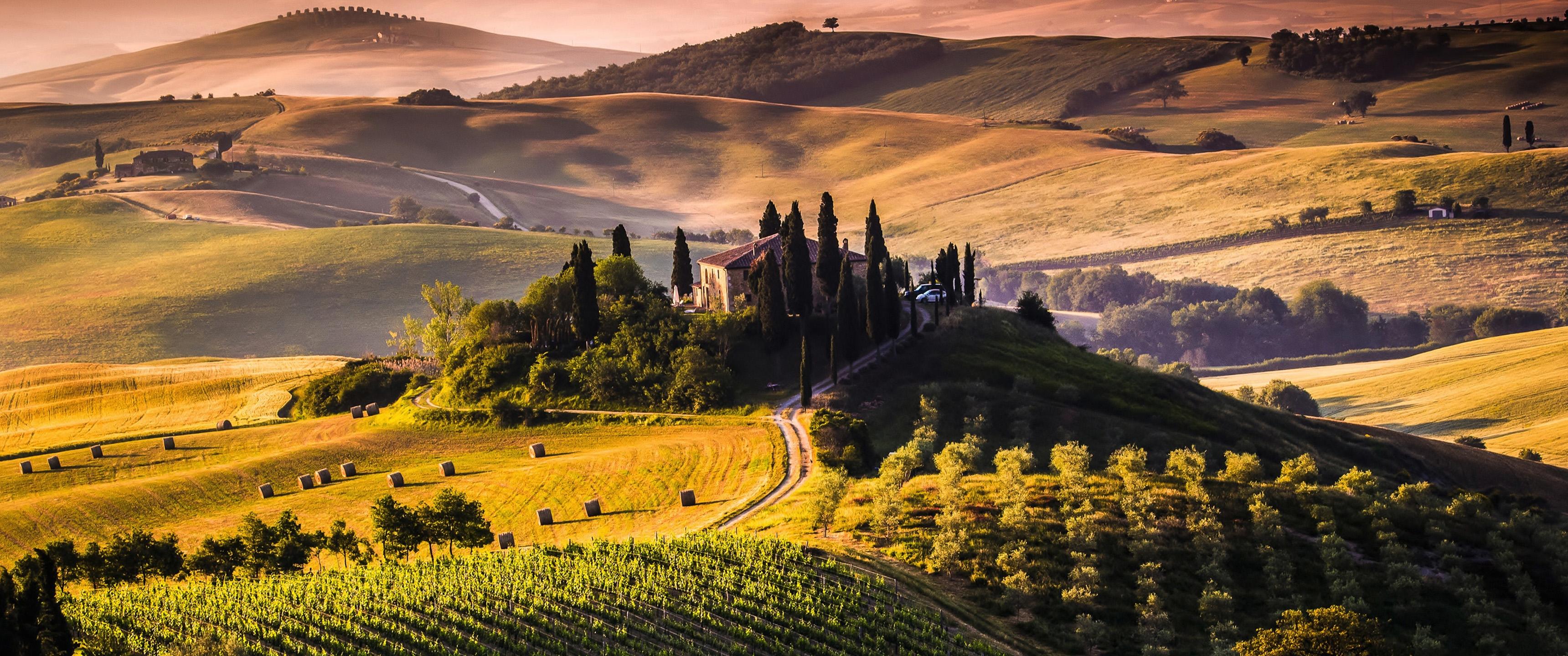 Vineyard Landscape Wallpapers - Top Free Vineyard Landscape Backgrounds ...