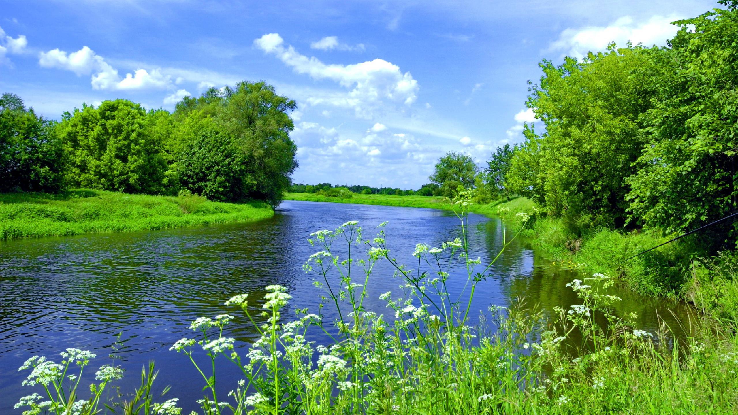 Calm River Wallpapers - Top Free Calm River Backgrounds - WallpaperAccess