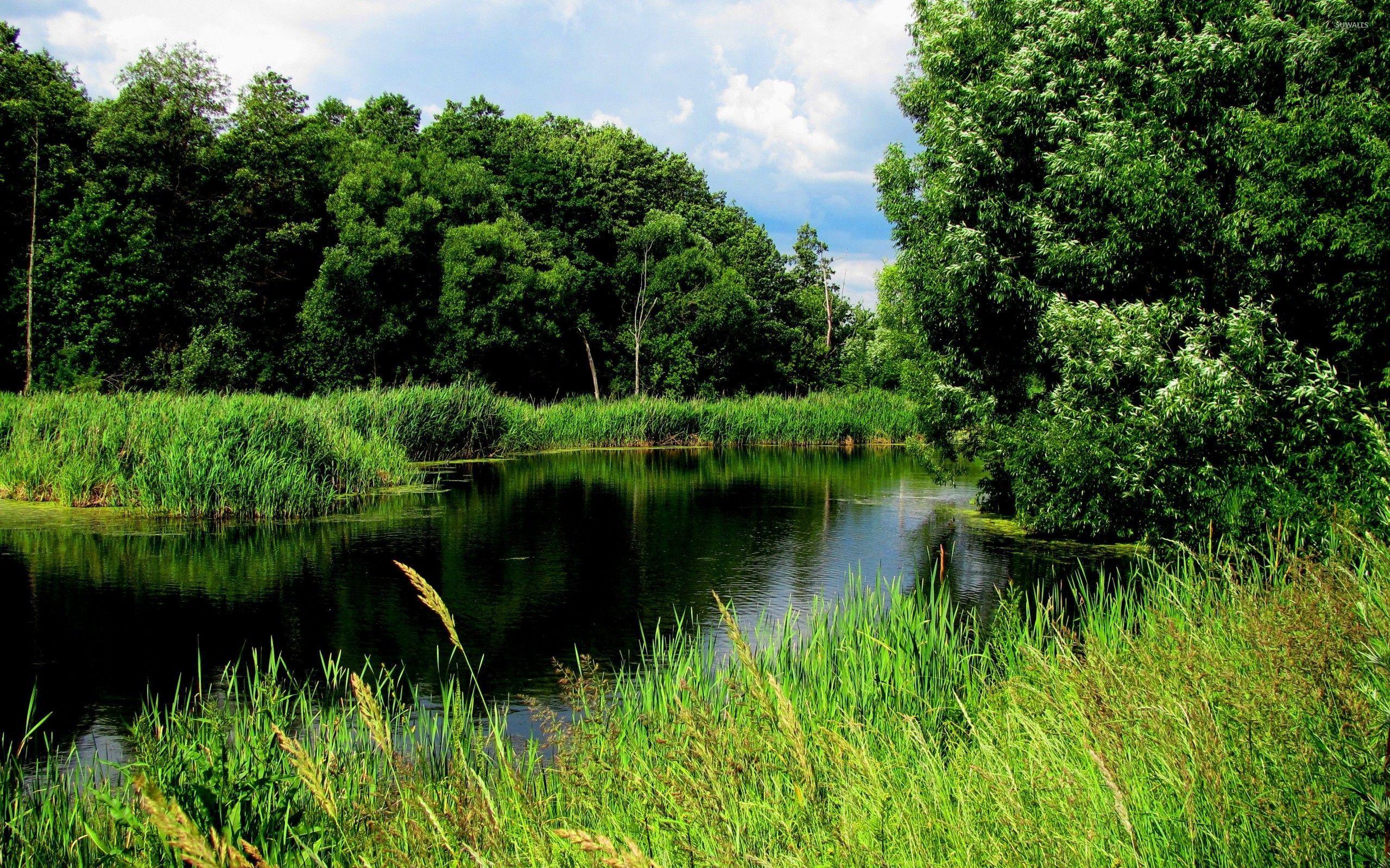 Calm River Wallpapers - Top Free Calm River Backgrounds - WallpaperAccess