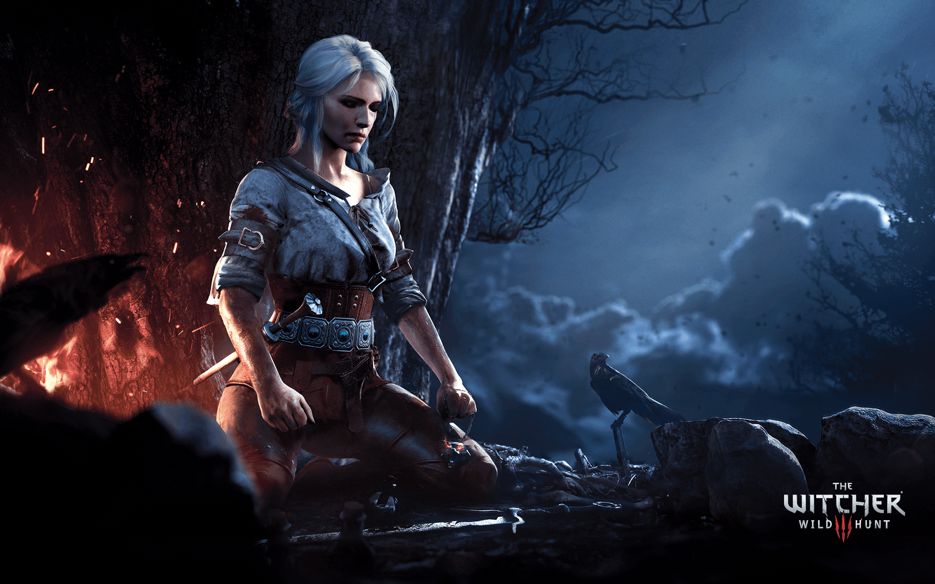 The Witcher Wild Hunt Wallpapers - Top Free The Witcher Wild Hunt Backgrounds - WallpaperAccess
