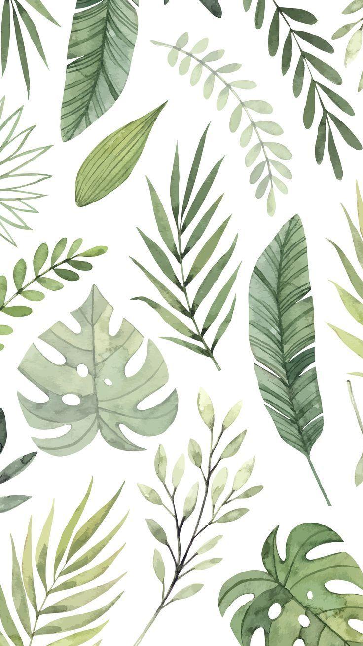 Pastel Leaves Wallpapers - Top Free Pastel Leaves Backgrounds ...