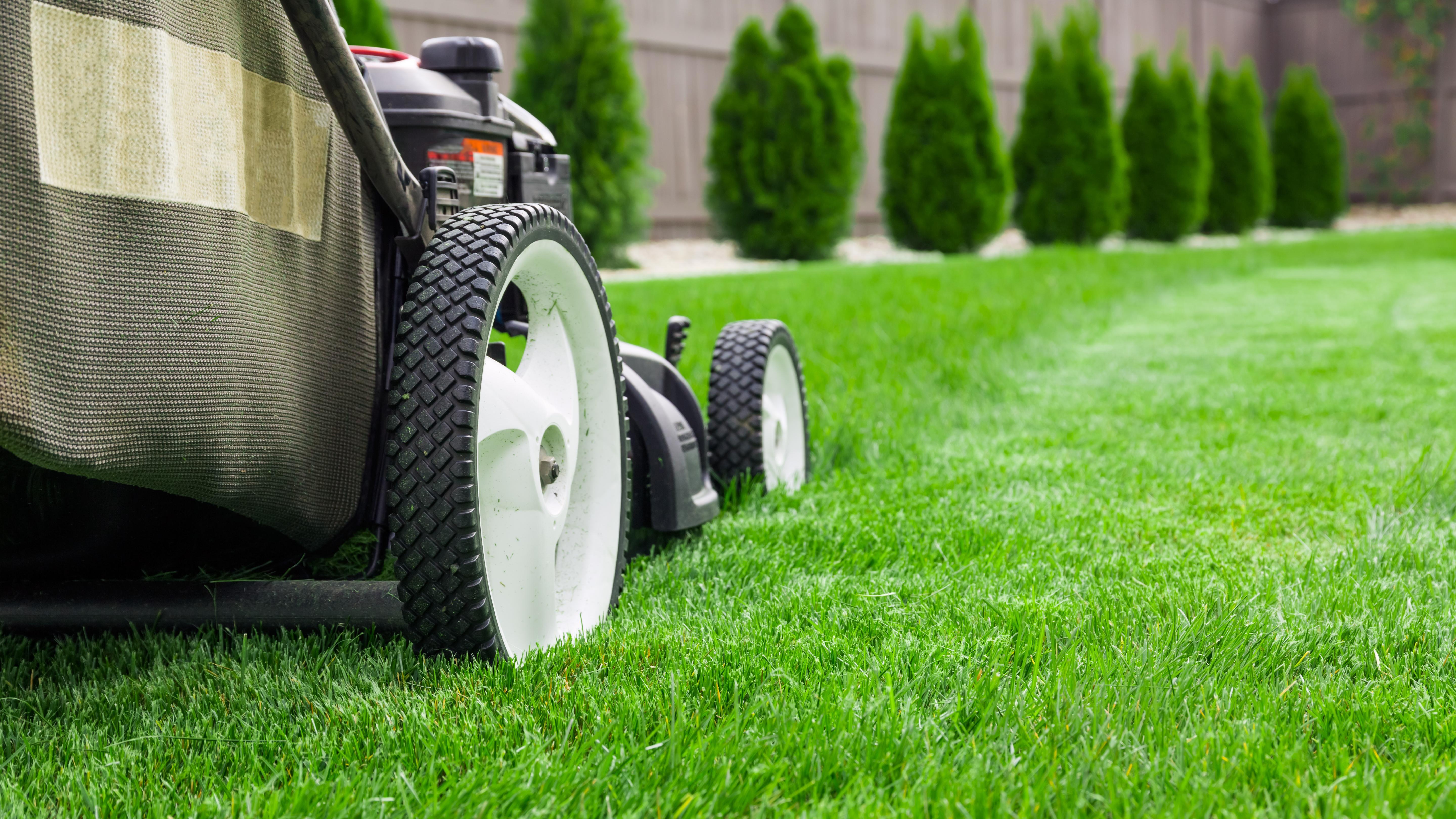 Lawn Mower Wallpapers - Top Free Lawn Mower Backgrounds - WallpaperAccess