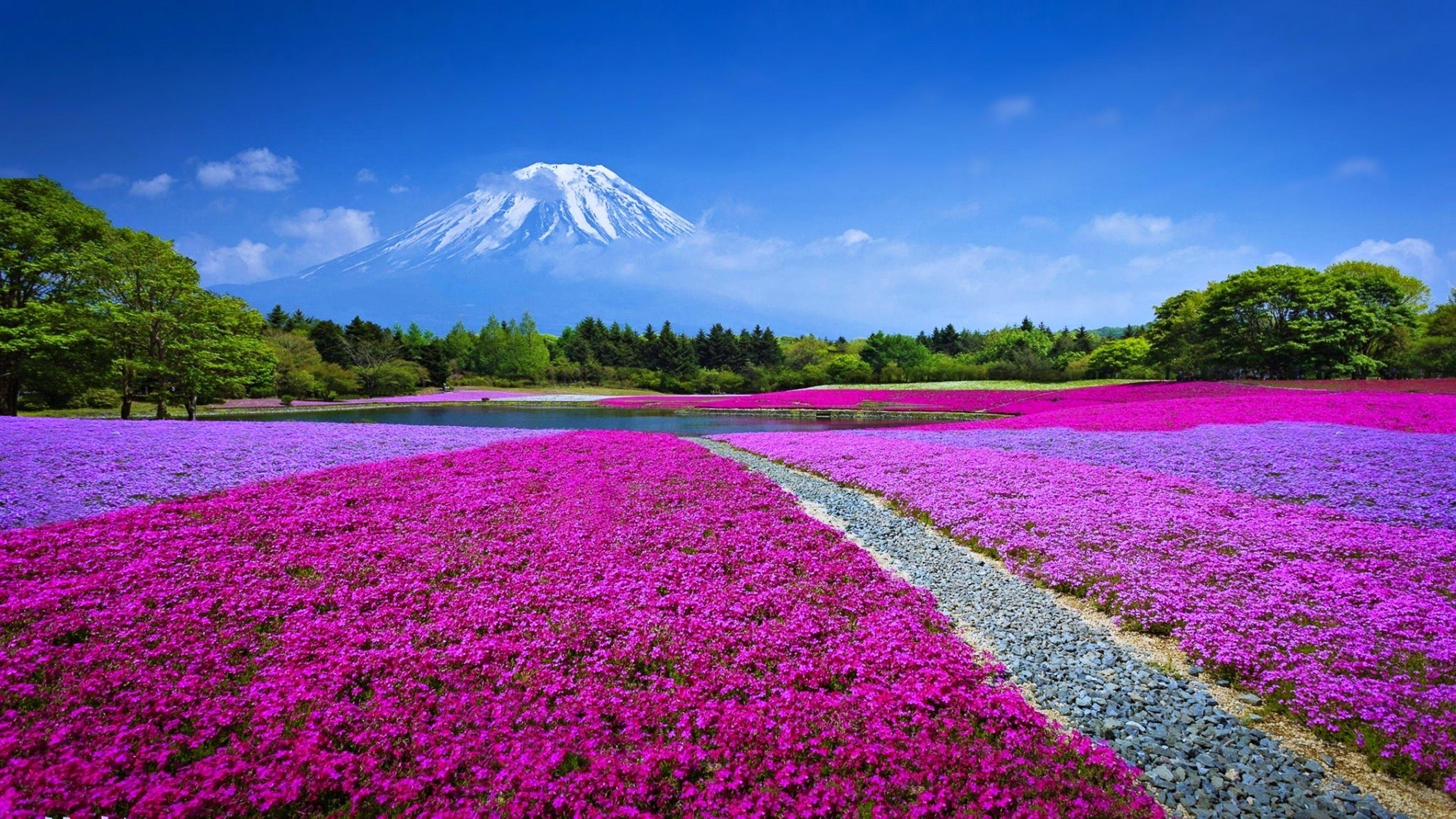 4K Ultra HD Desktop Wallpapers Top Free 4K Ultra HD Desktop