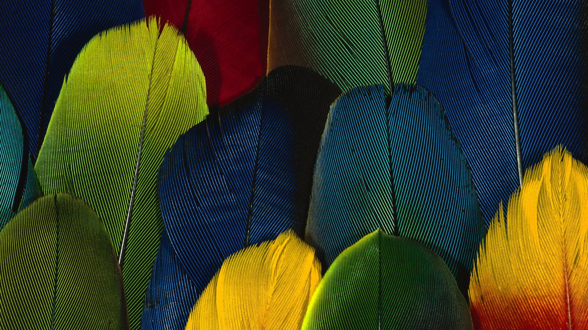 Crayon Colors Wallpapers - Top Free Crayon Colors Backgrounds ...