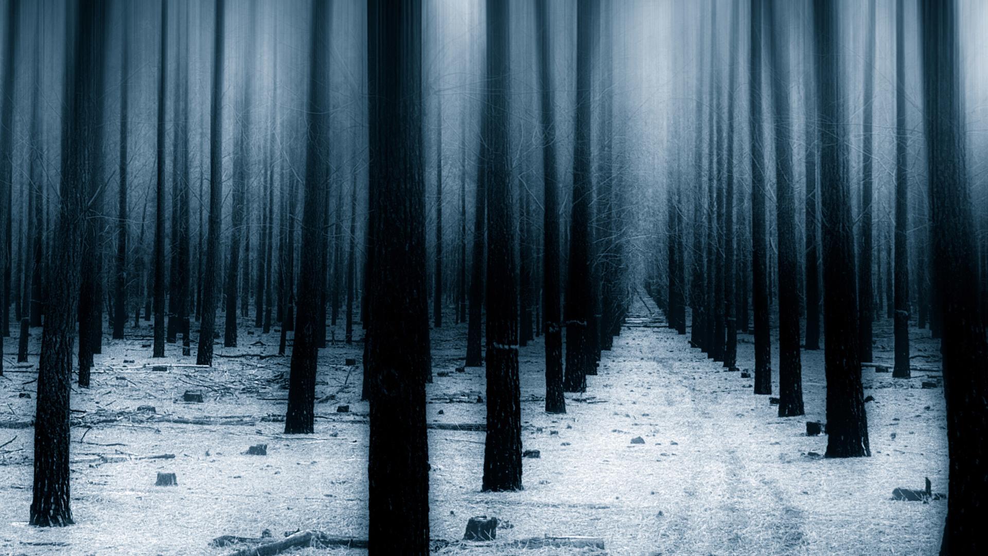 Woods Laptop Wallpapers - Top Free Woods Laptop Backgrounds ...