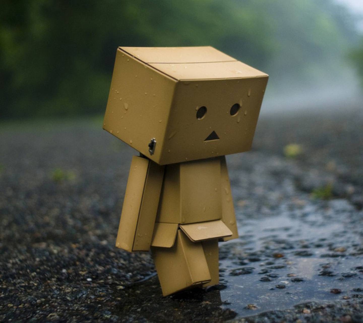 Cardboard Robot Wallpapers - Top Free Cardboard Robot Backgrounds ...