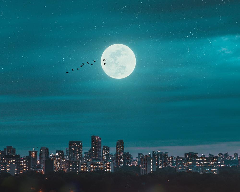 Moonlight City Wallpapers - Top Free Moonlight City Backgrounds ...