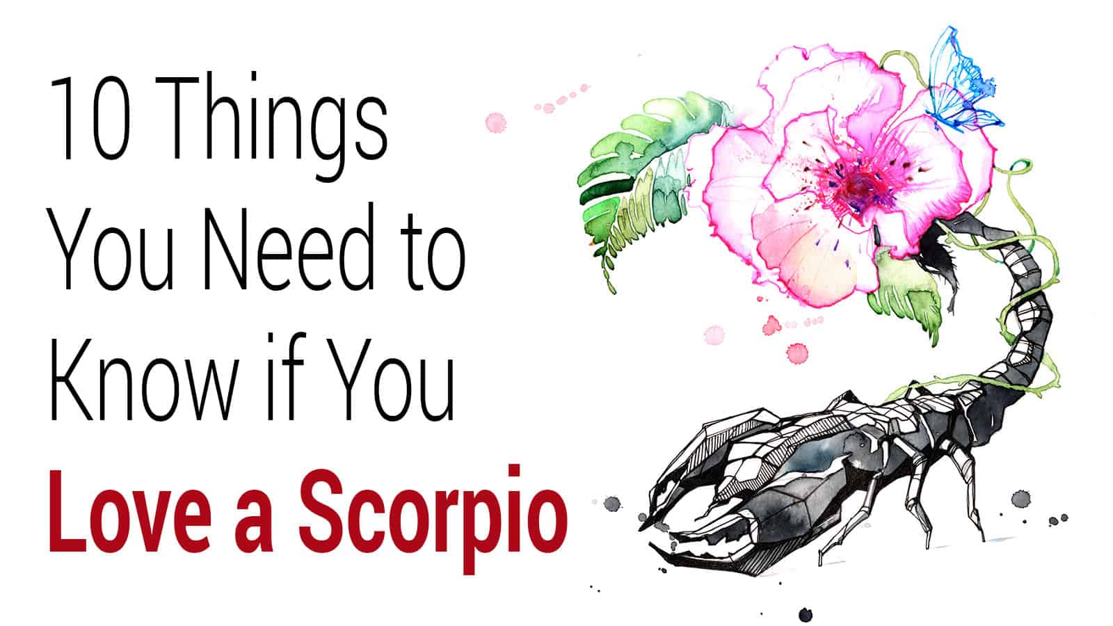 Scorpio Flower Wallpapers - Top Free Scorpio Flower Backgrounds ...