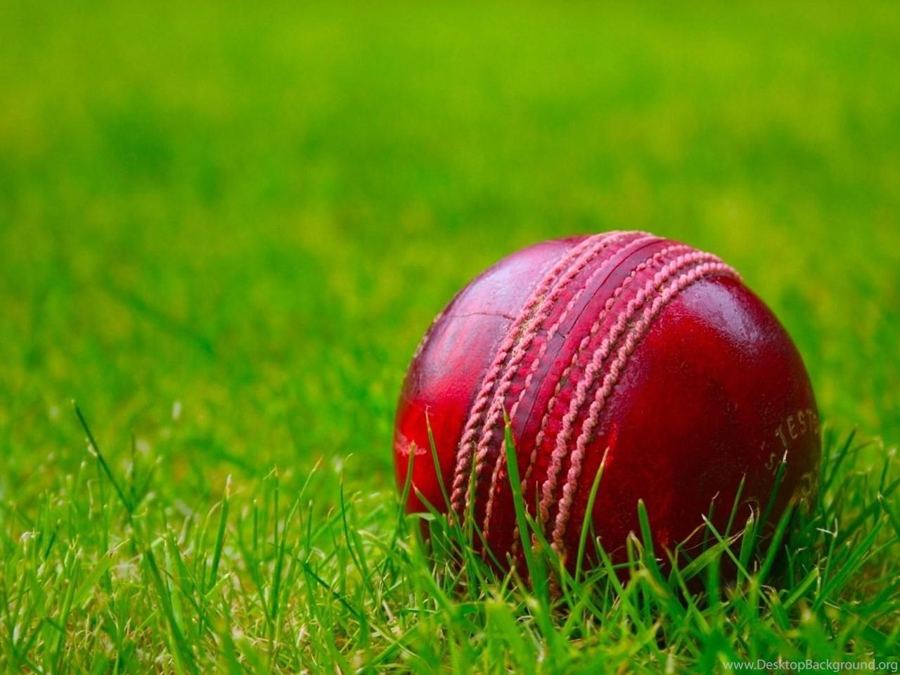 Cricket Desktop Wallpapers - Top Free Cricket Desktop Backgrounds ...