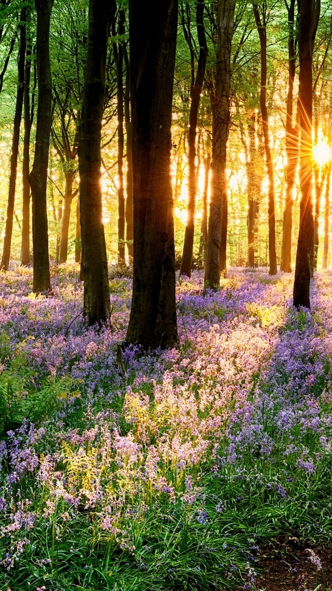 iPhone 7 Nature Wallpapers - Top Free iPhone 7 Nature Backgrounds ...
