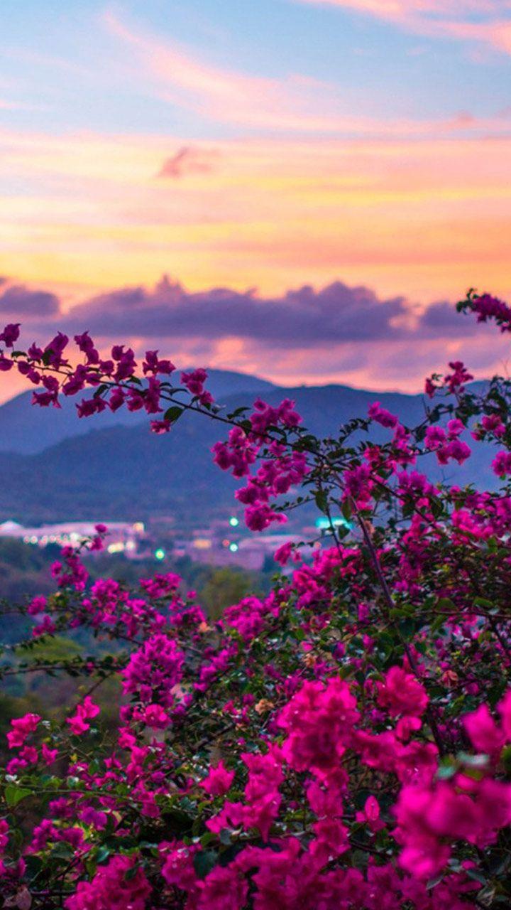 Cute Spring Nature Wallpapers - Top Free Cute Spring Nature Backgrounds ...