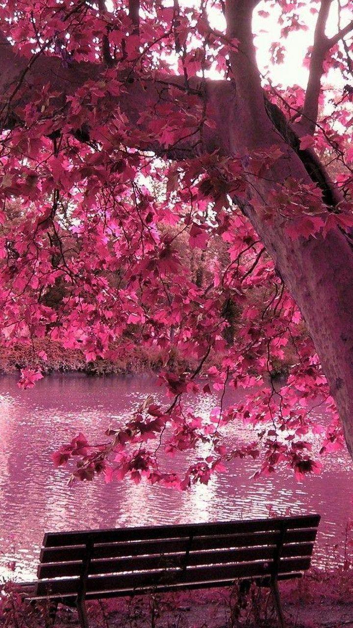 Cute Spring Nature Wallpapers - Top Free Cute Spring Nature Backgrounds ...