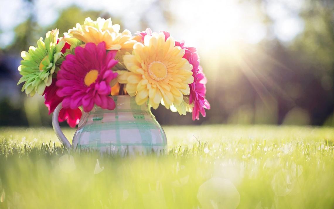 Cute Spring Nature Wallpapers - Top Free Cute Spring Nature Backgrounds ...