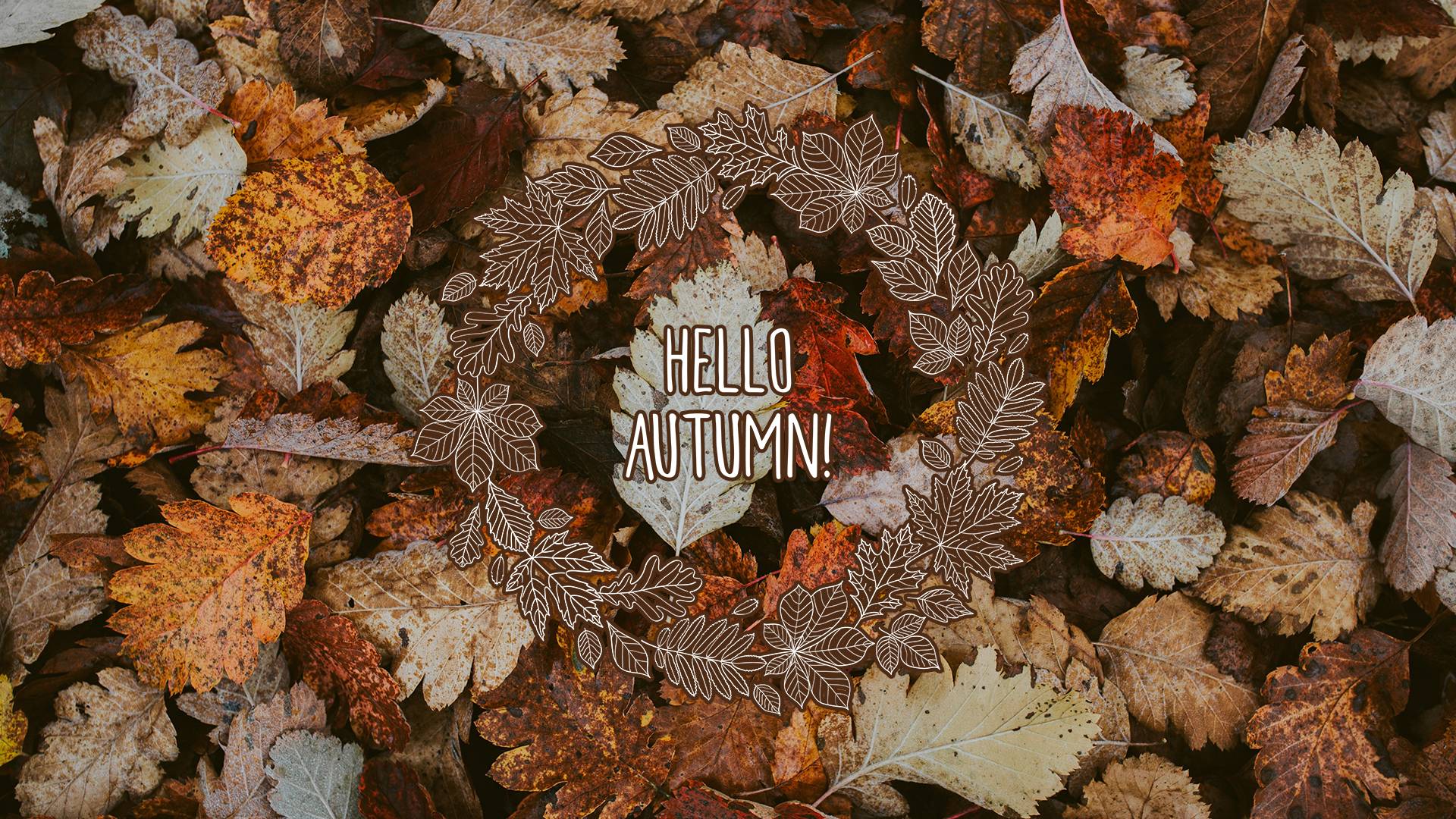Hello Fall Desktop Wallpapers - Top Free Hello Fall Desktop Backgrounds ...