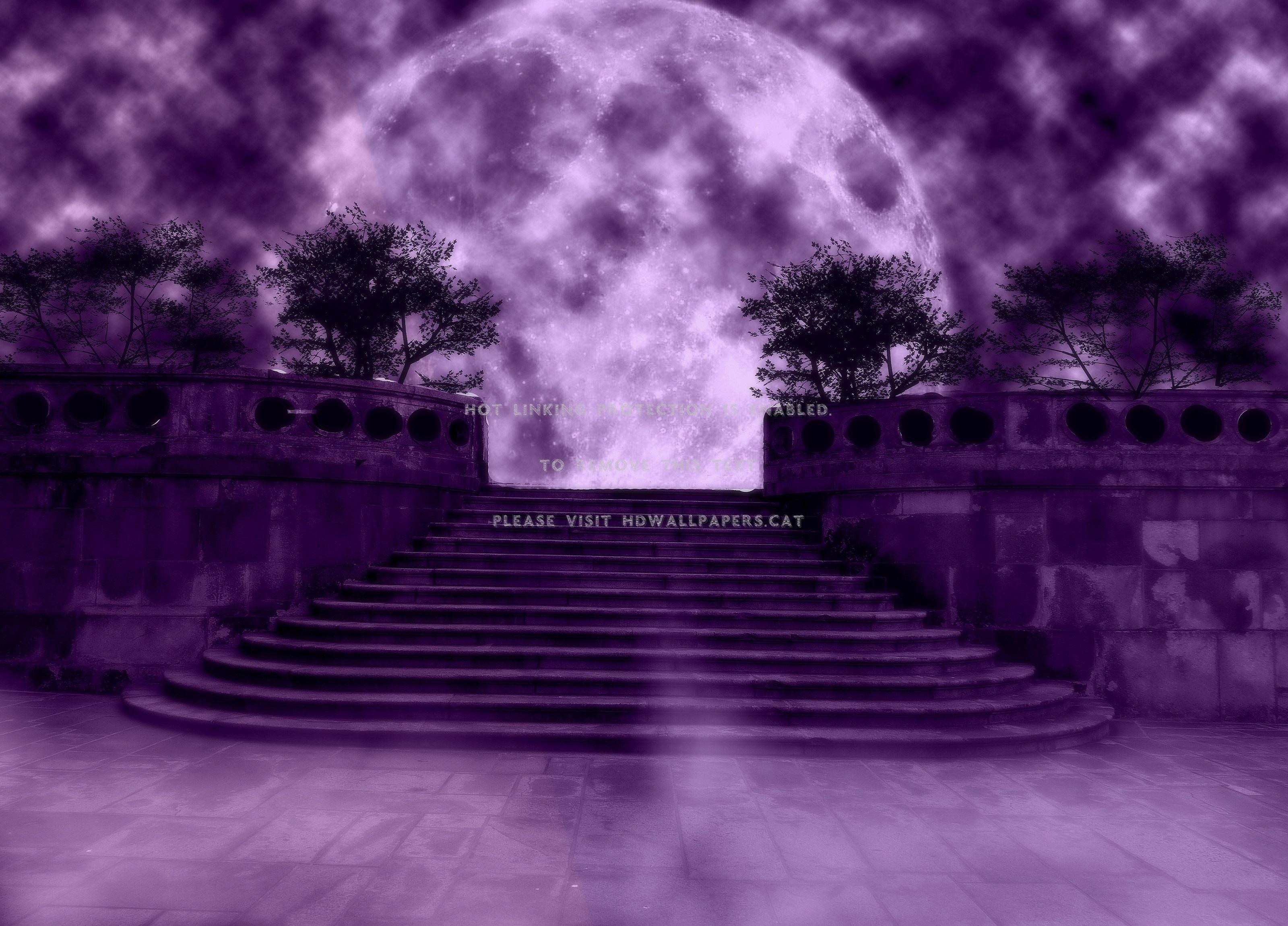 Moonlight Garden Wallpapers - Top Free Moonlight Garden Backgrounds ...