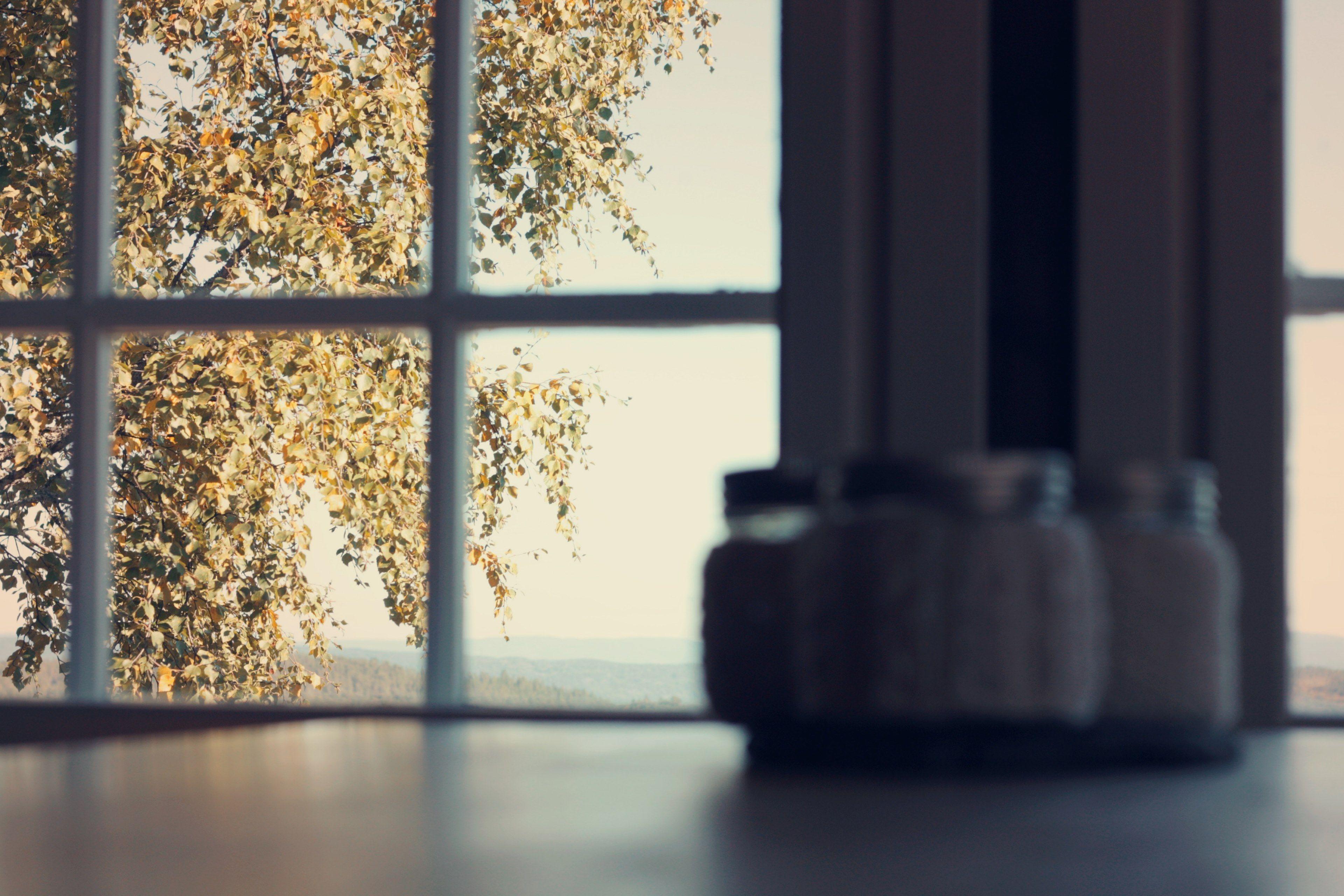 Looking Out Window Wallpapers - Top Free Looking Out Window Backgrounds ...