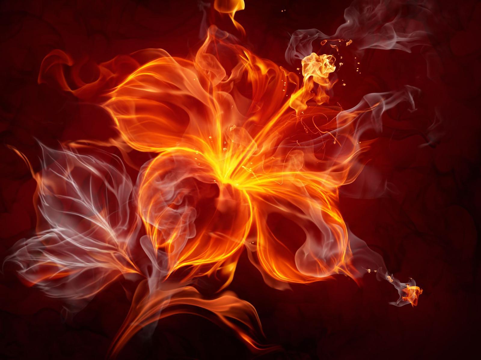Fire Flower Wallpapers - Top Free Fire Flower Backgrounds - WallpaperAccess