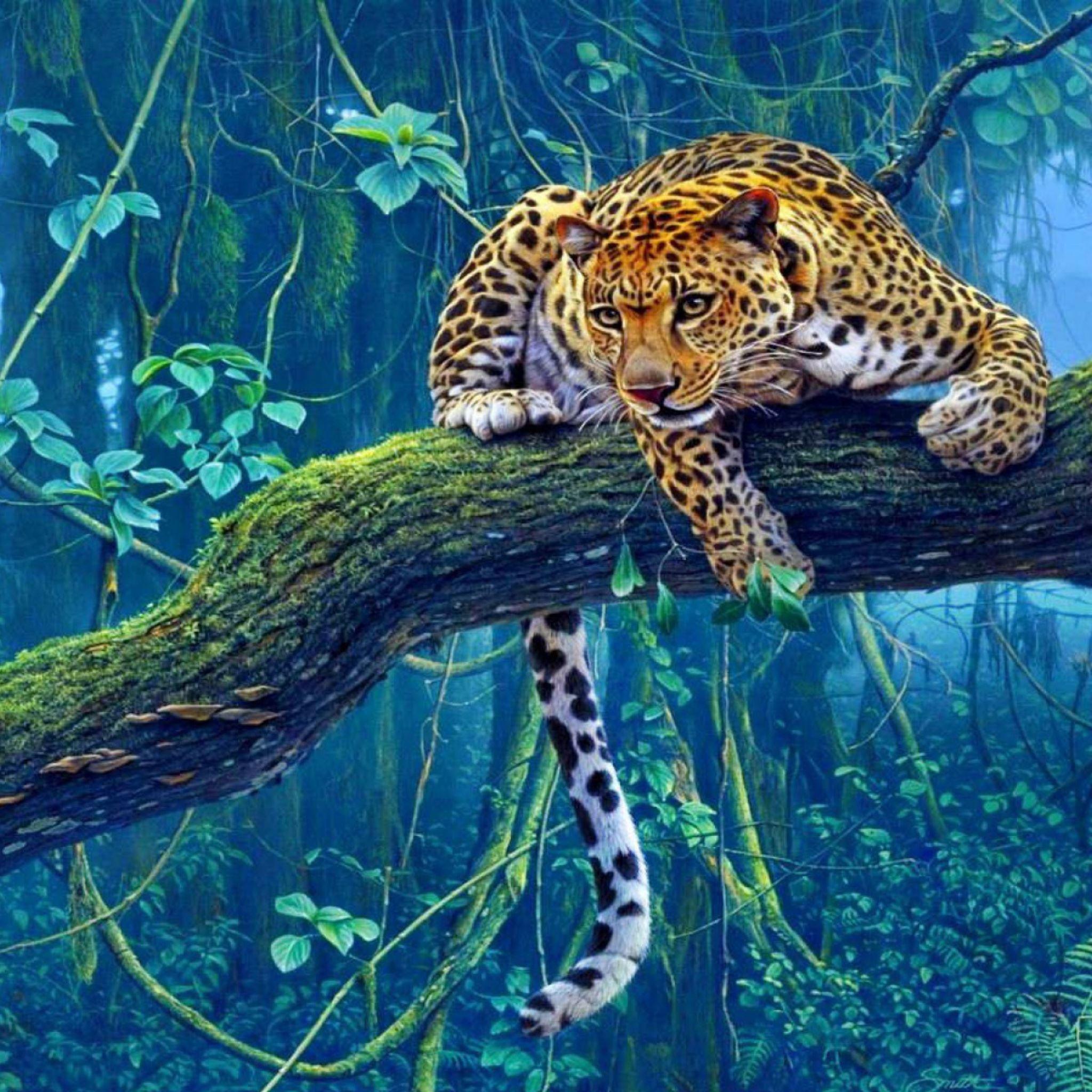 Beautiful Leopard Wallpapers - Top Free Beautiful Leopard Backgrounds ...