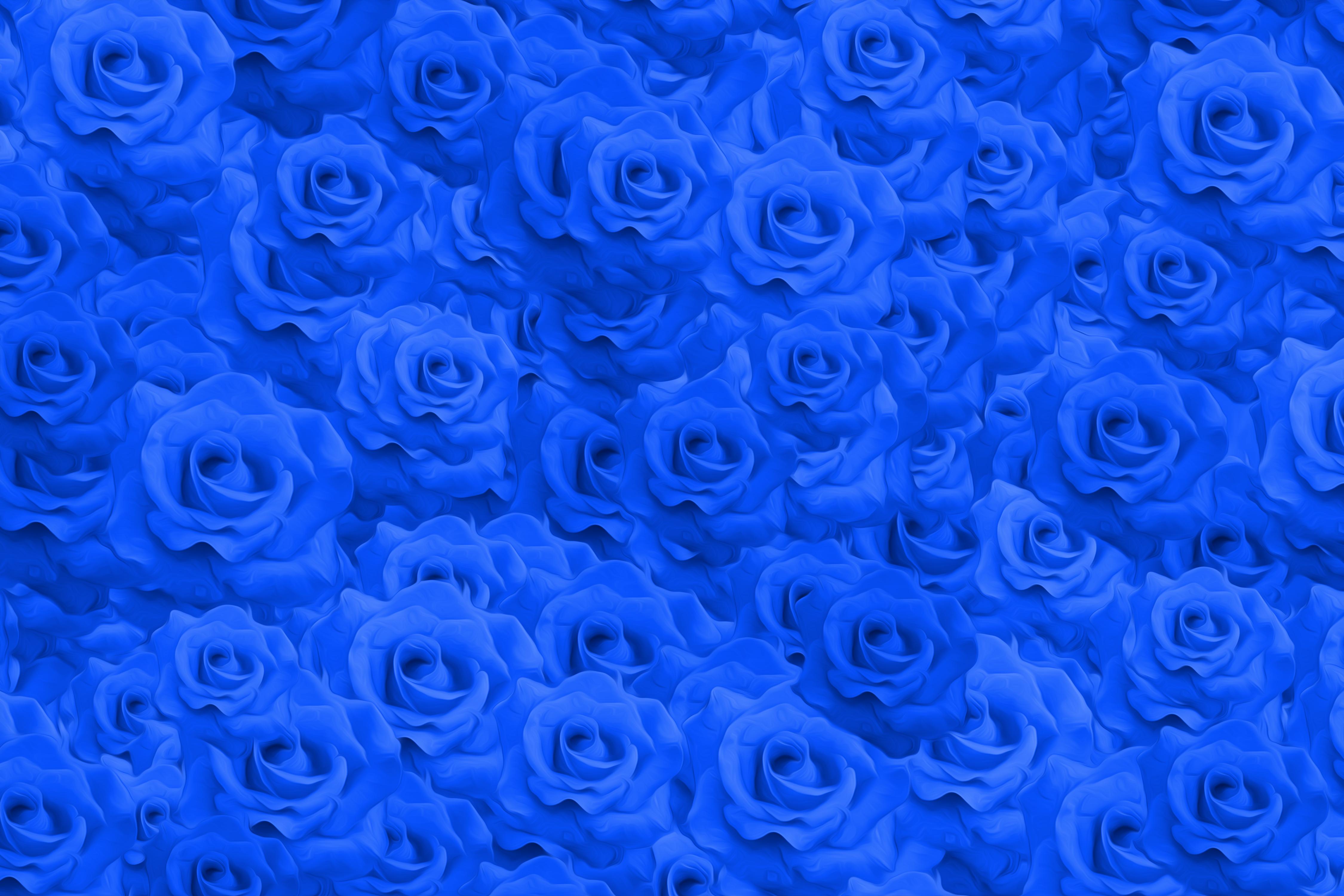 Blue Rose Garden Wallpapers - Top Free Blue Rose Garden Backgrounds ...
