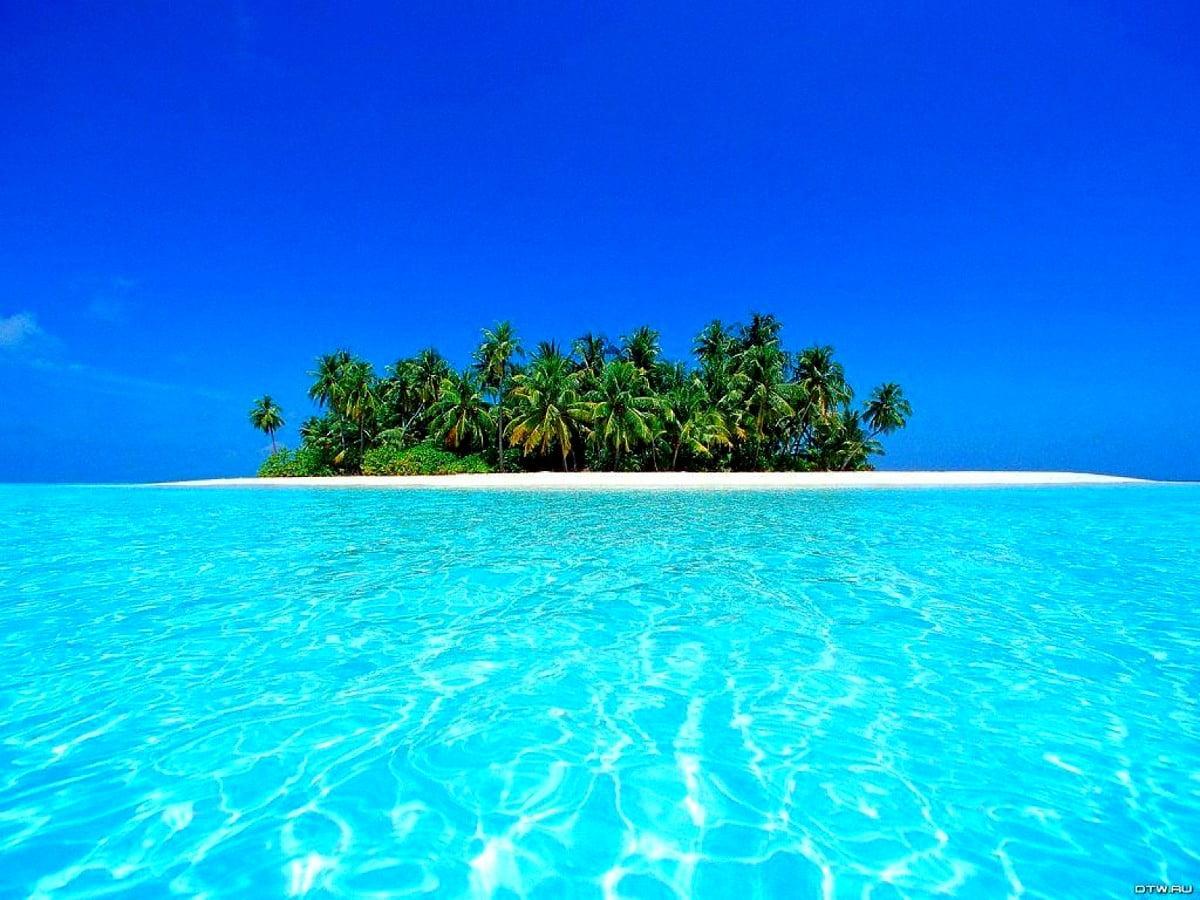 Palm Tree Island Wallpapers - Top Free Palm Tree Island Backgrounds ...