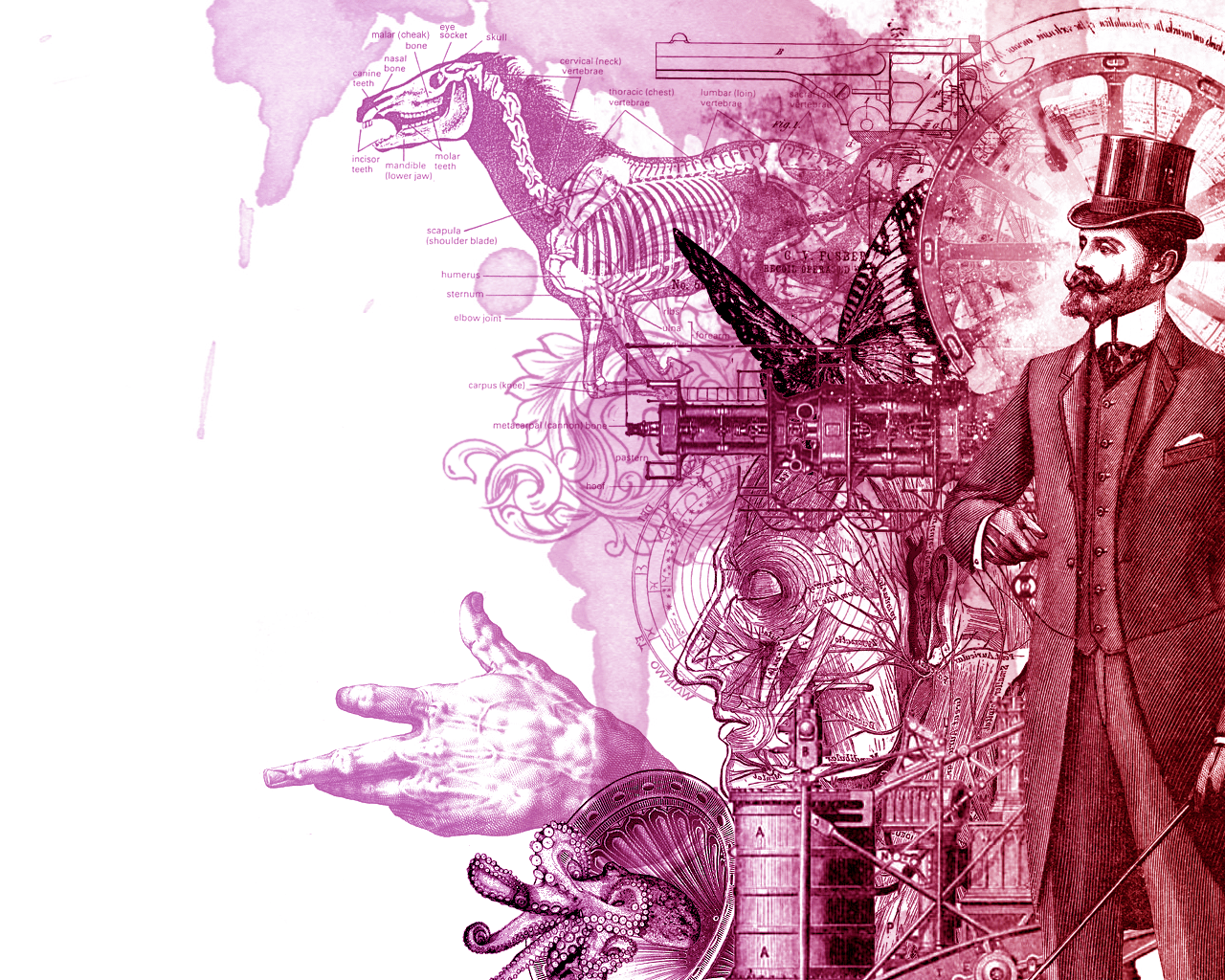 Invented Wallpapers - Top Free Invented Backgrounds - WallpaperAccess