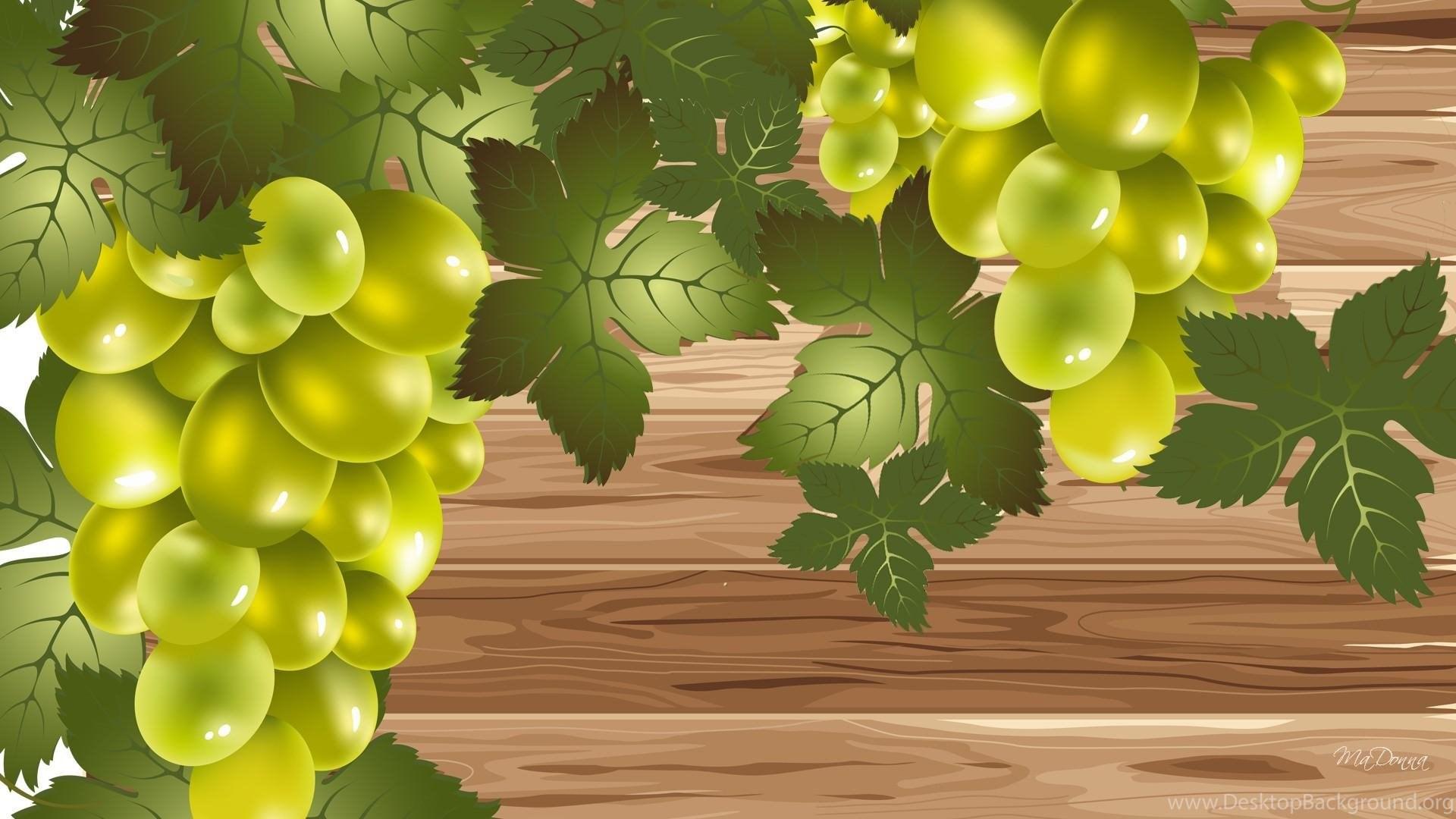 Grape Vine Wallpapers - Top Free Grape Vine Backgrounds - WallpaperAccess