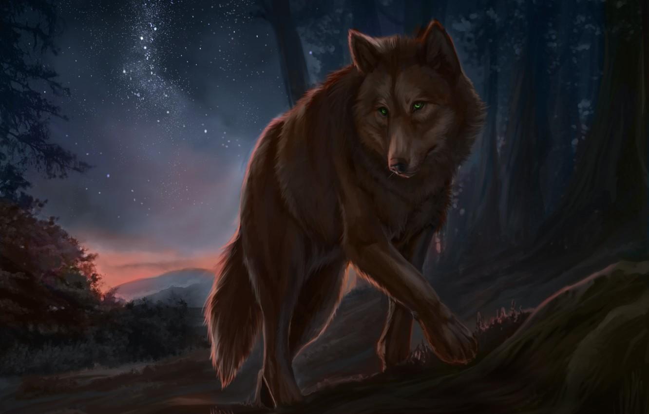 Wolf Artwork Wallpapers - Top Free Wolf Artwork Backgrounds ...