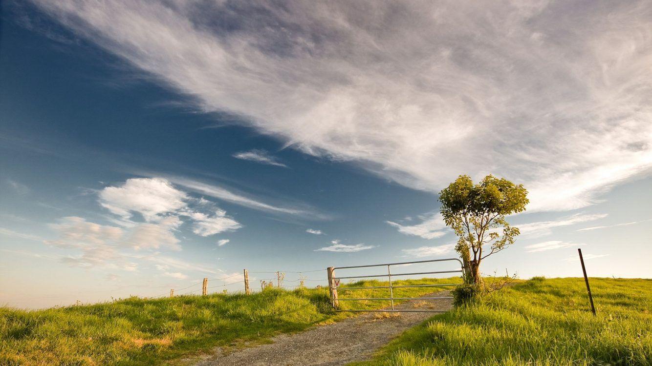 4K Field Wallpapers - Top Free 4K Field Backgrounds - WallpaperAccess