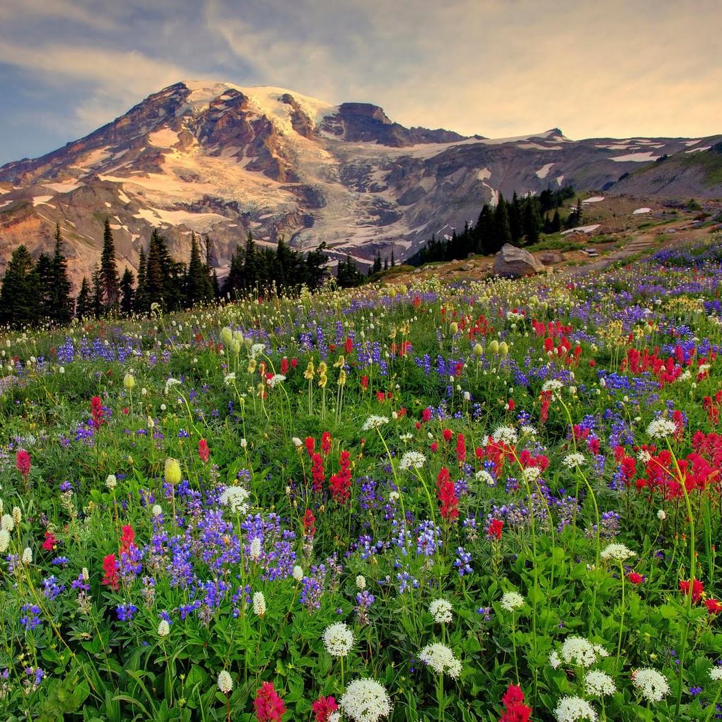 Pacific Northwest Spring Wallpapers - Top Free Pacific Northwest Spring ...